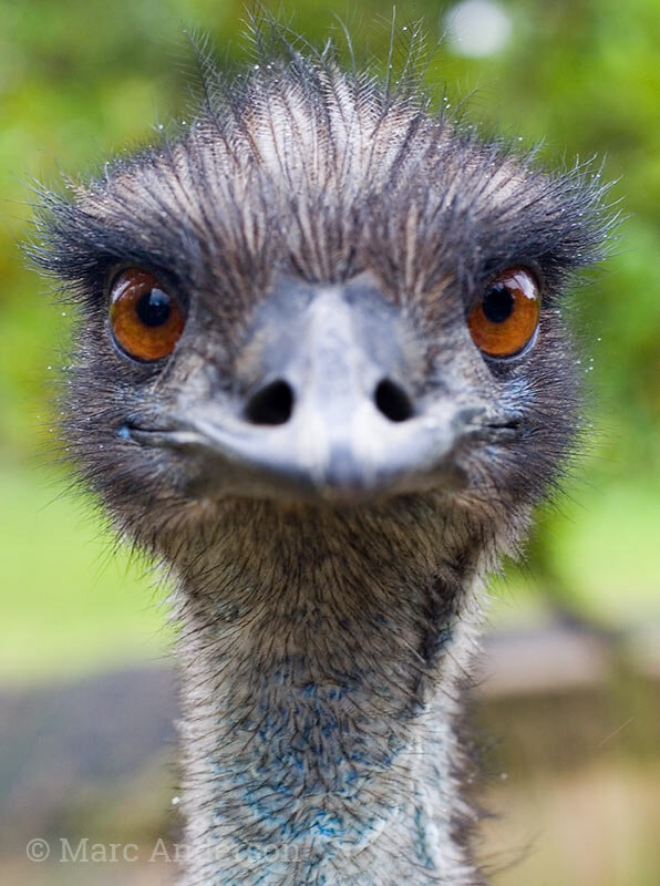 Symbols Intro — Digital Content