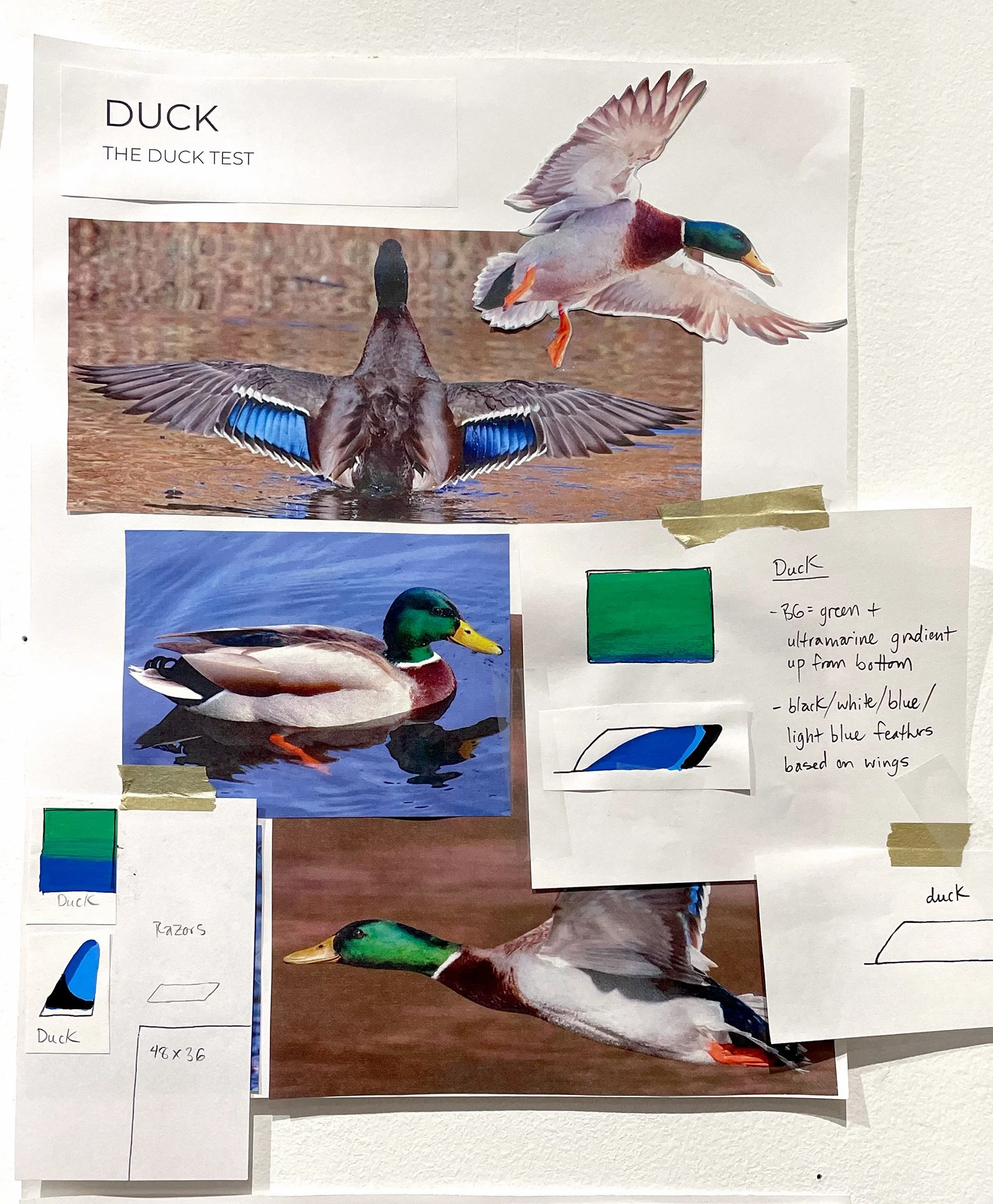 duck-test2-detail — Natale Adgnot