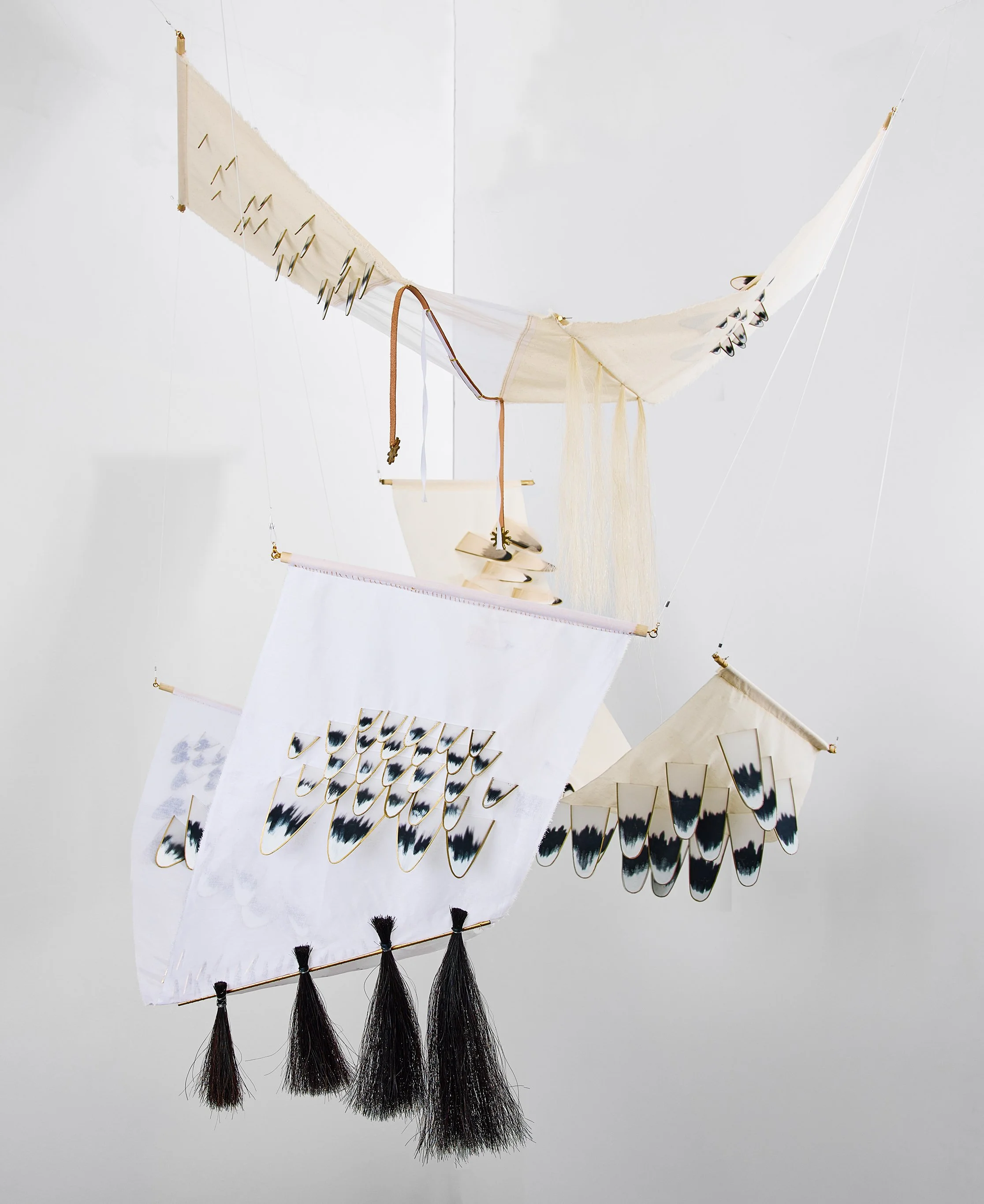 wild-goose-chase-migration-detail — Natale Adgnot