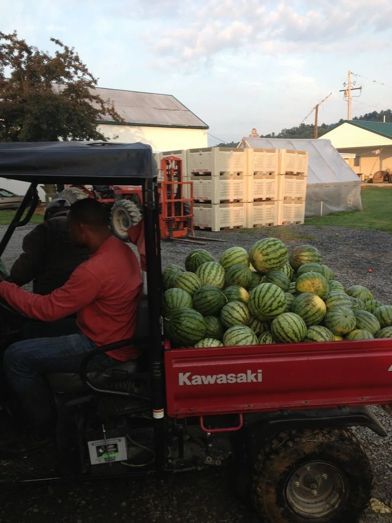 Our Produce — Quaker Valley Orchards & Guest House