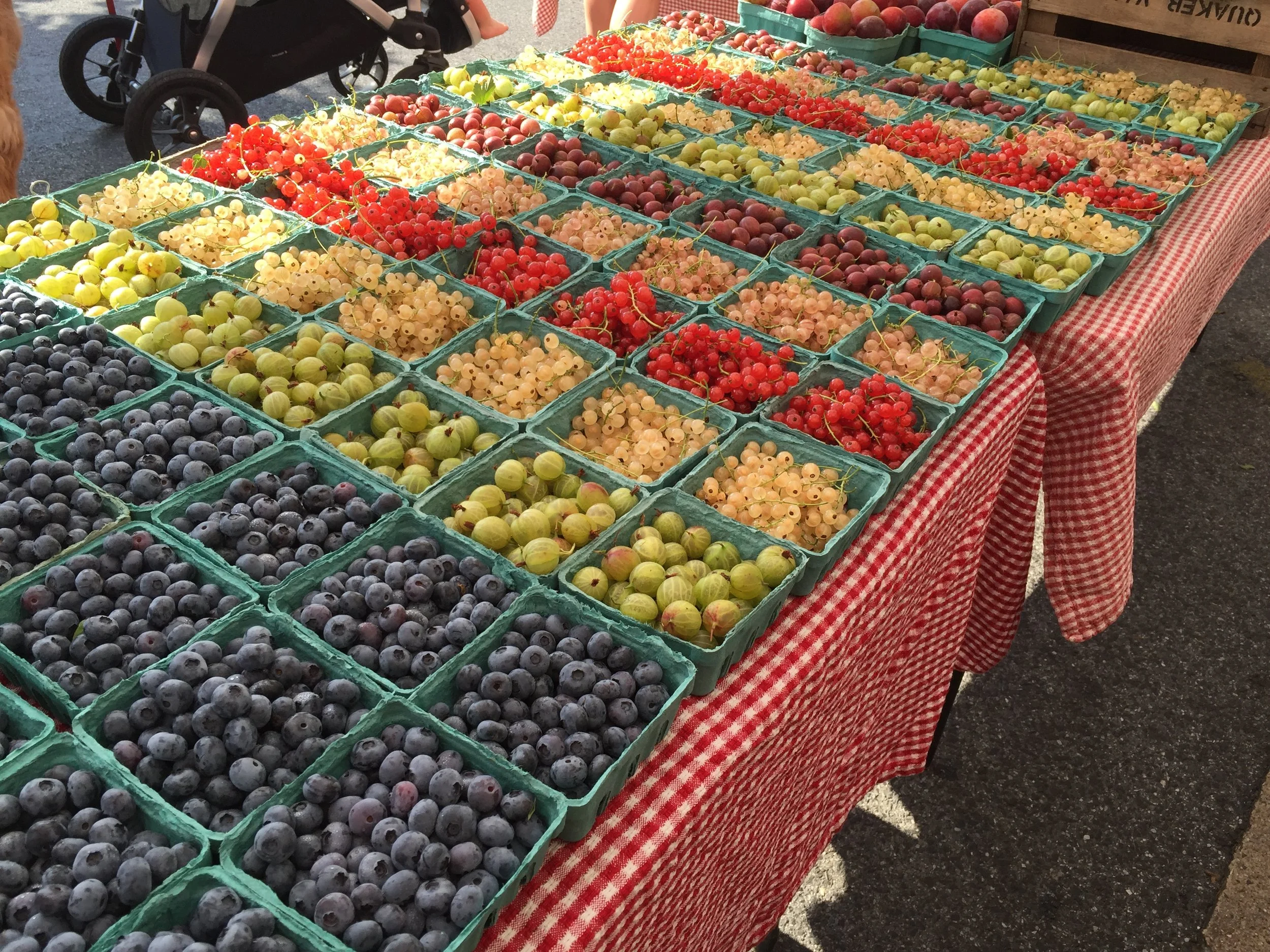 Our Produce — Quaker Valley Orchards & Guest House