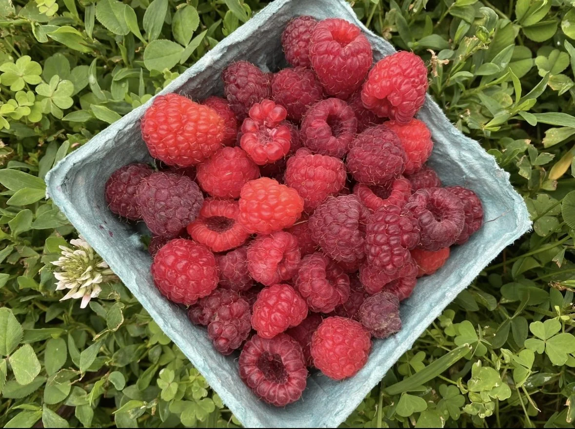 Order Online — Quaker Valley Orchards & Guest House