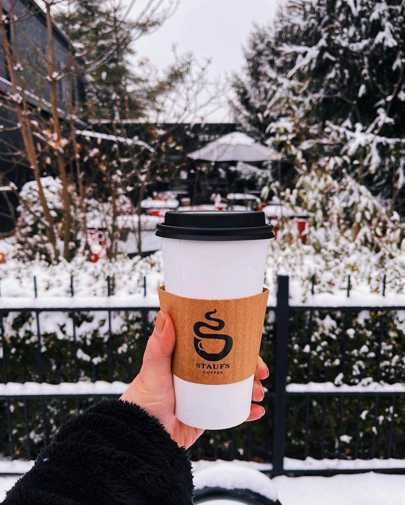 Stauf's Coffee Roasters