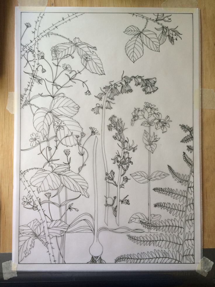 Assignment 9 — Helen Cousins Botanics