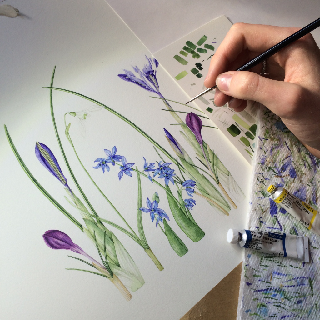 Diploma Portfolio - Mixed Floral — Helen Cousins Botanics