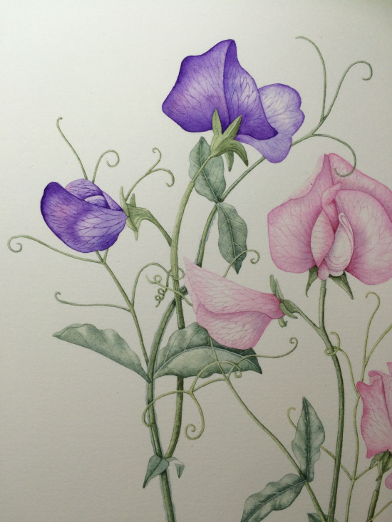 Floral Design Commission — Helen Cousins Botanics