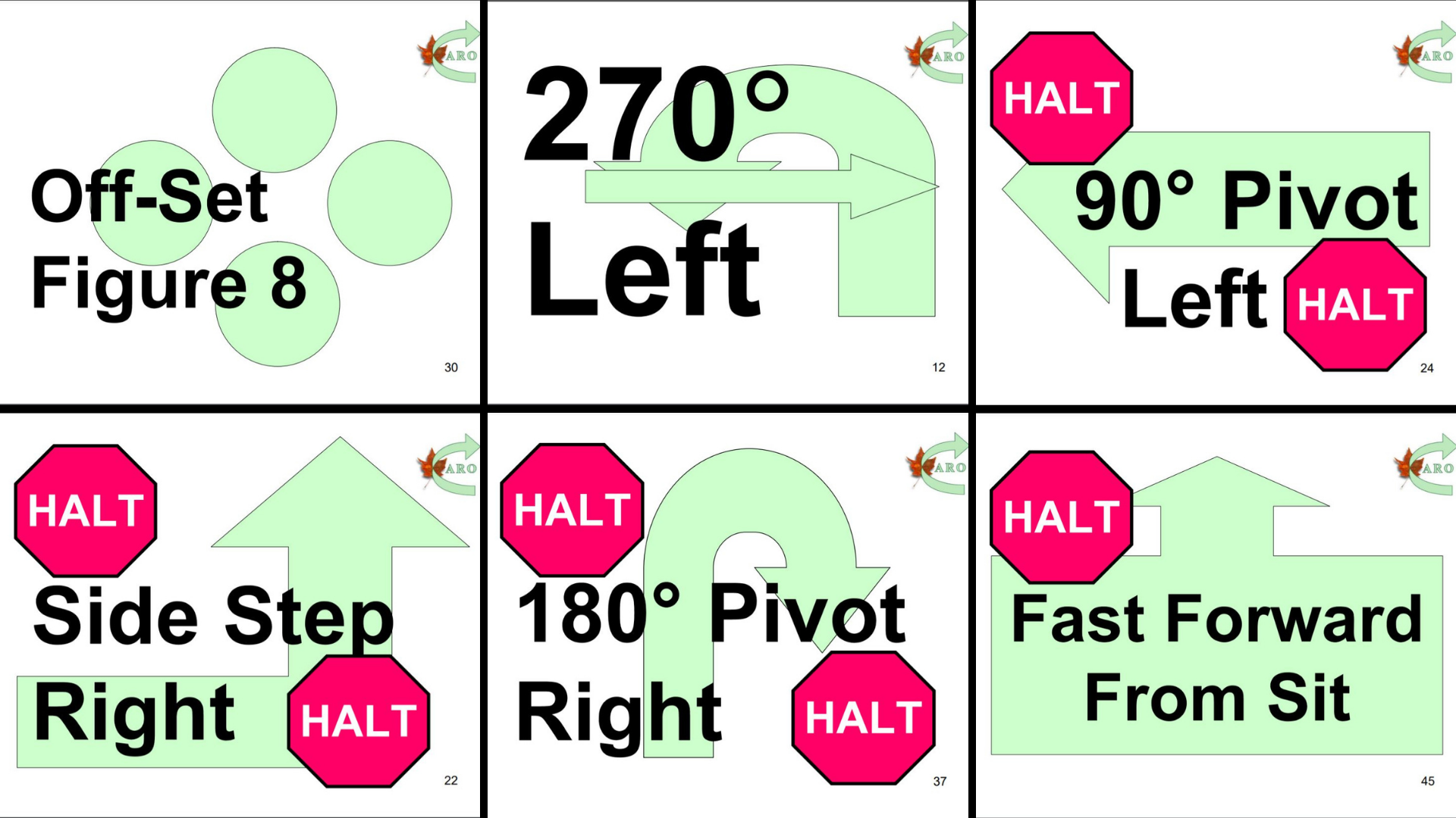 What Is Rally Obedience? — RocketDog Training