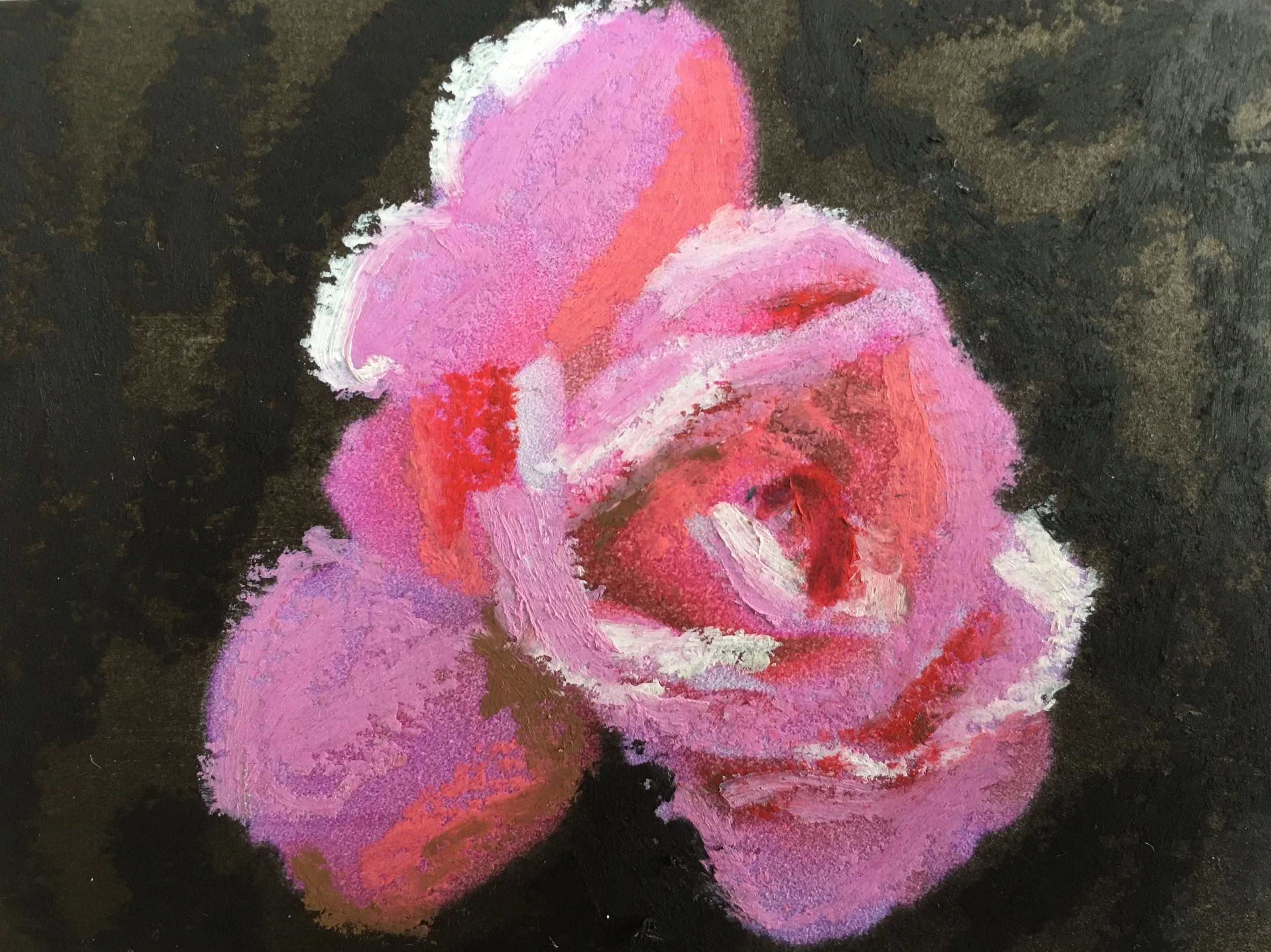 Roses 2022-23 — Rachel Sharp