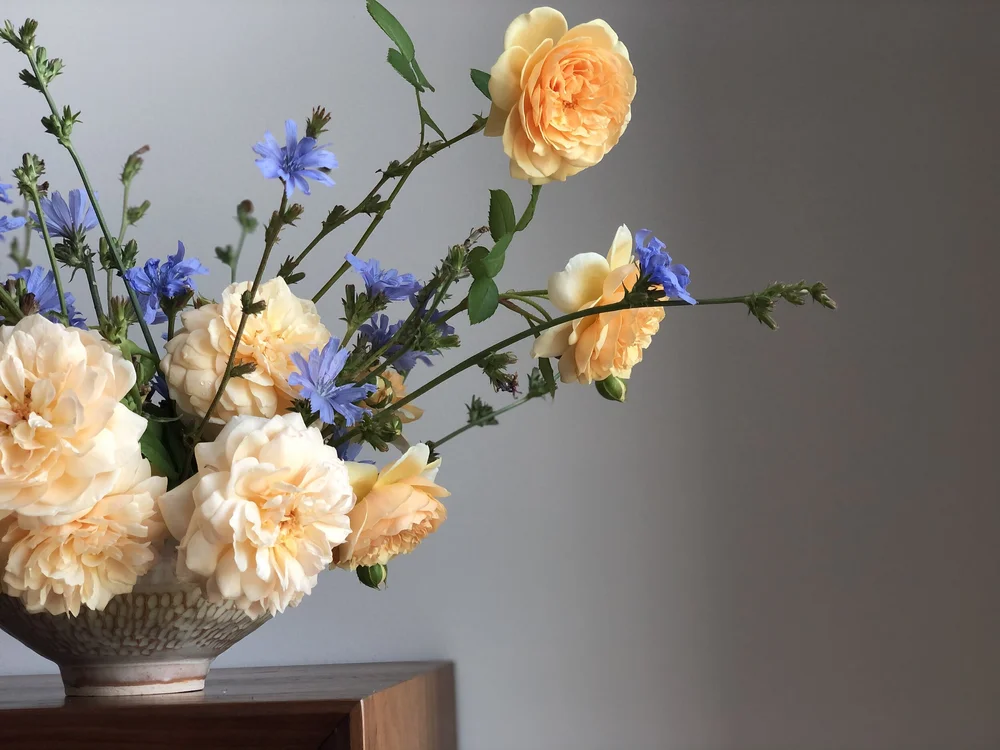 Shop — D.L.Noone Florals