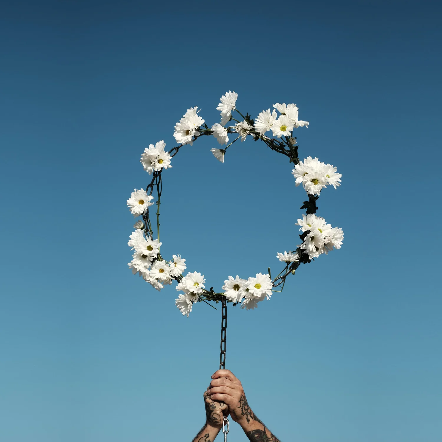 Tumblr Daisy Chain