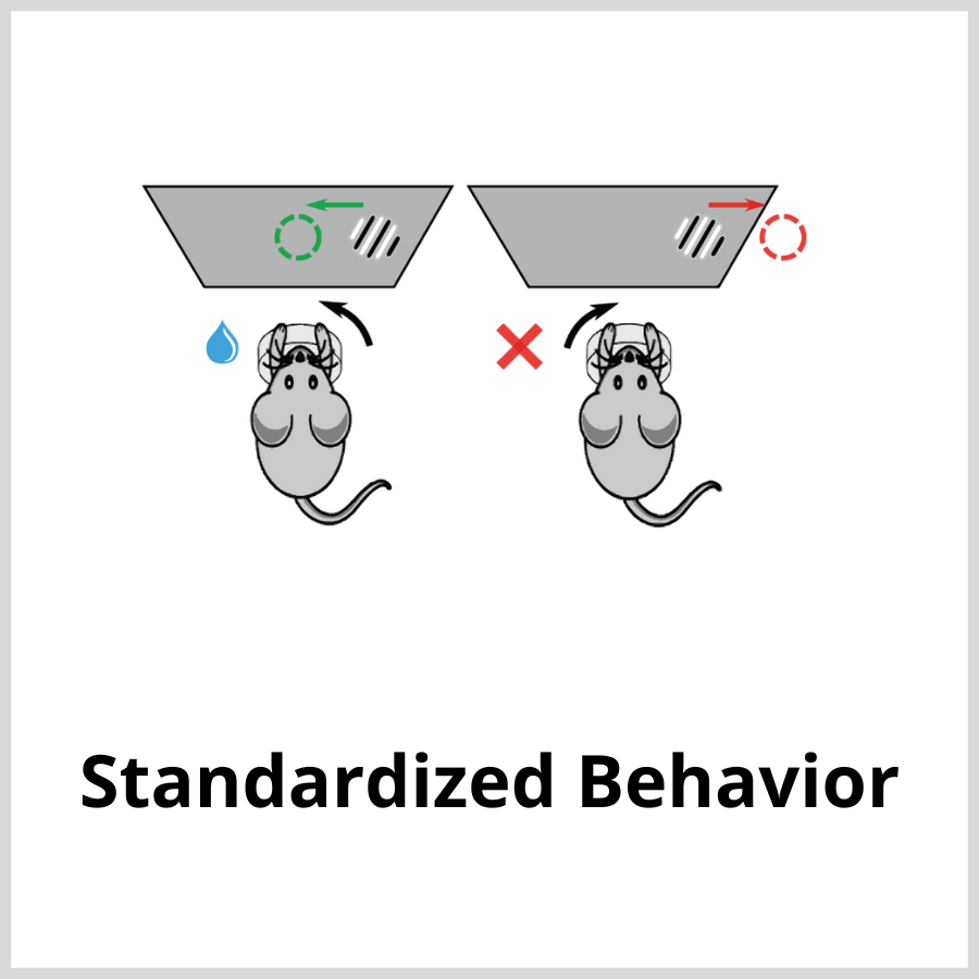 International Brain Laboratory