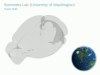 International Brain Laboratory