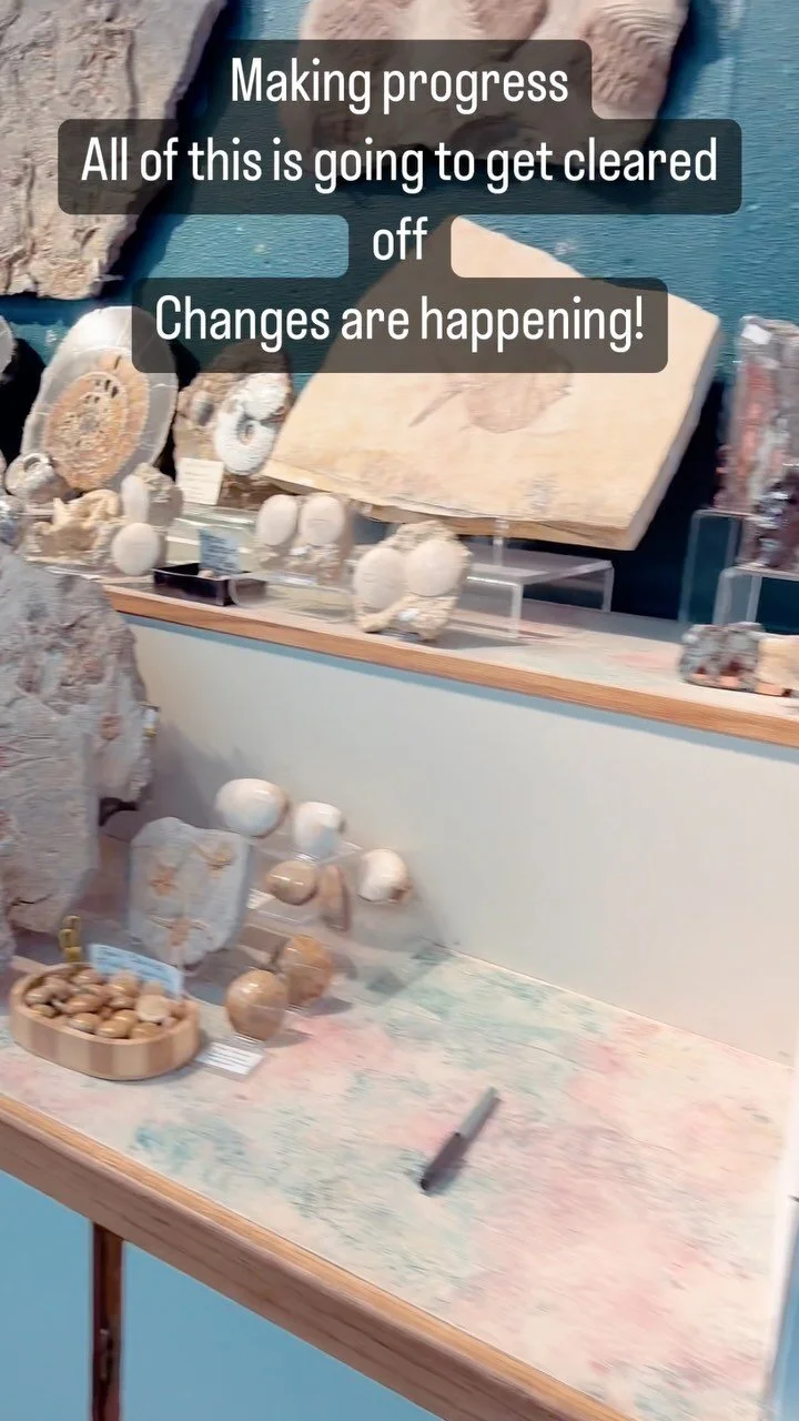 Nature's Own Breckenridge Rock & Fossil Shop