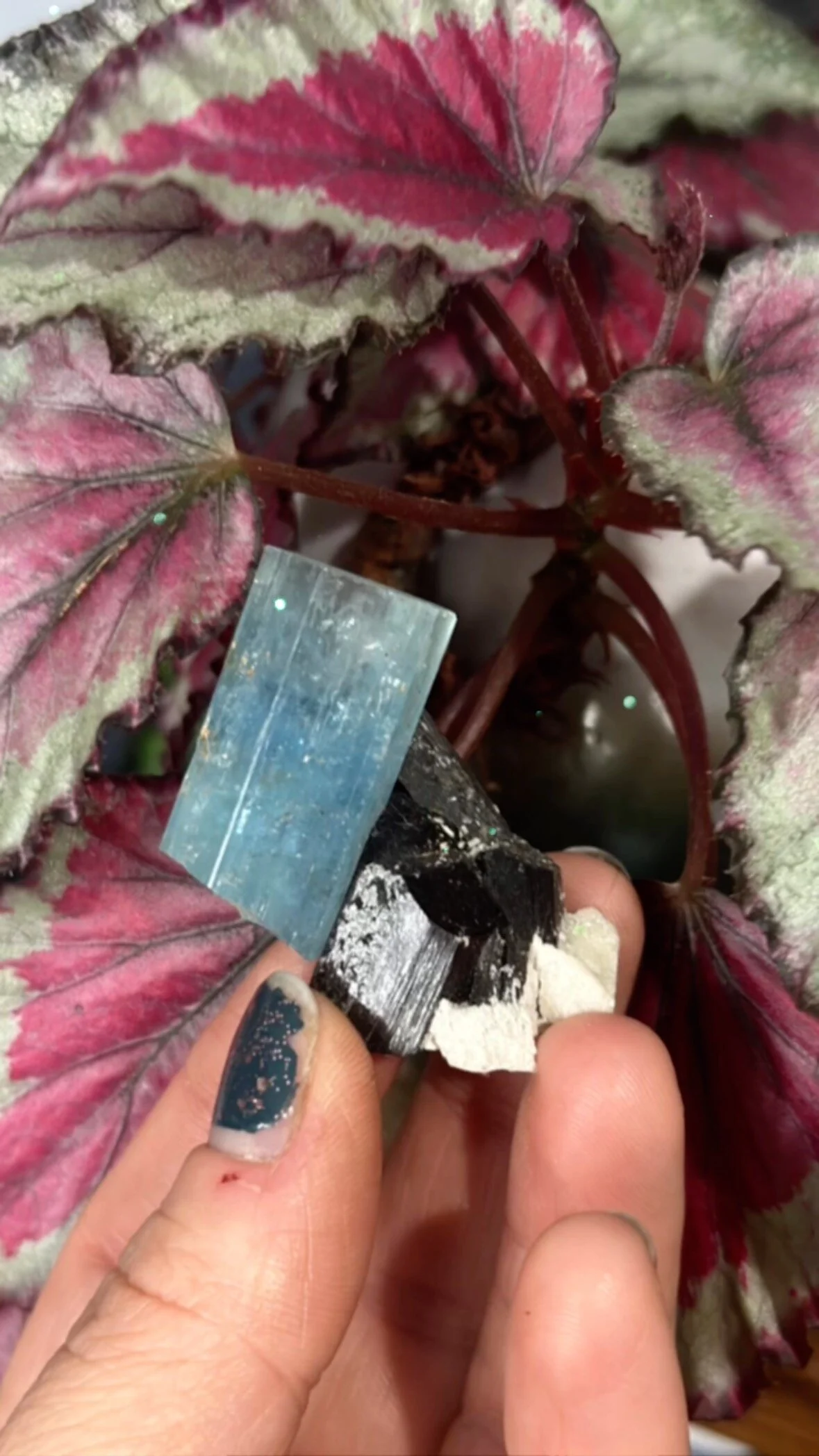 Nature's Own Breckenridge Rock & Fossil Shop