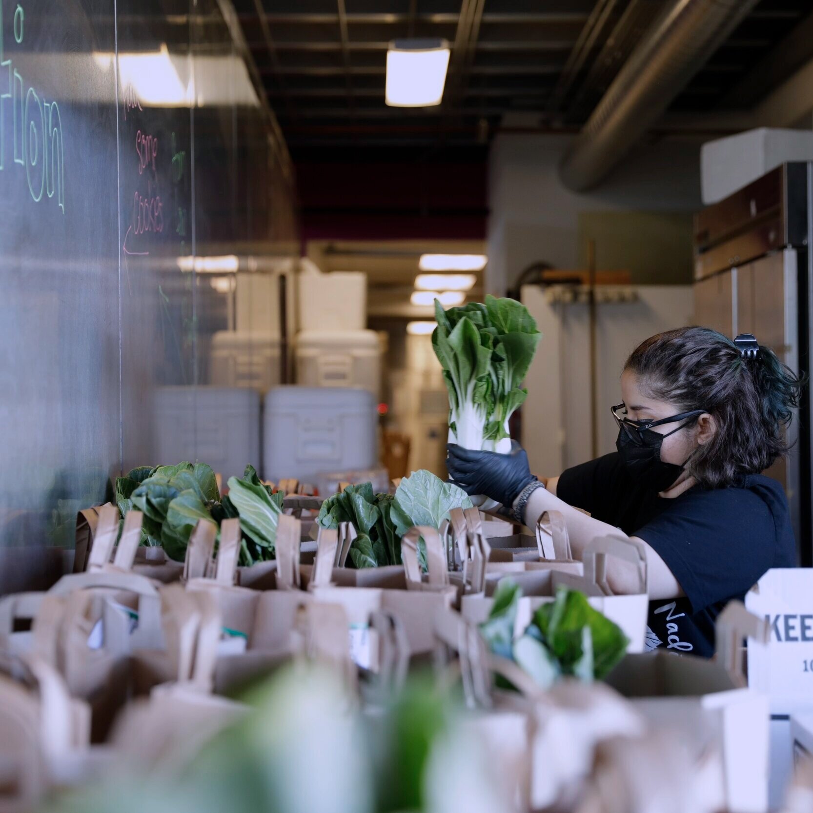 Food & Nutrition — Lifelong