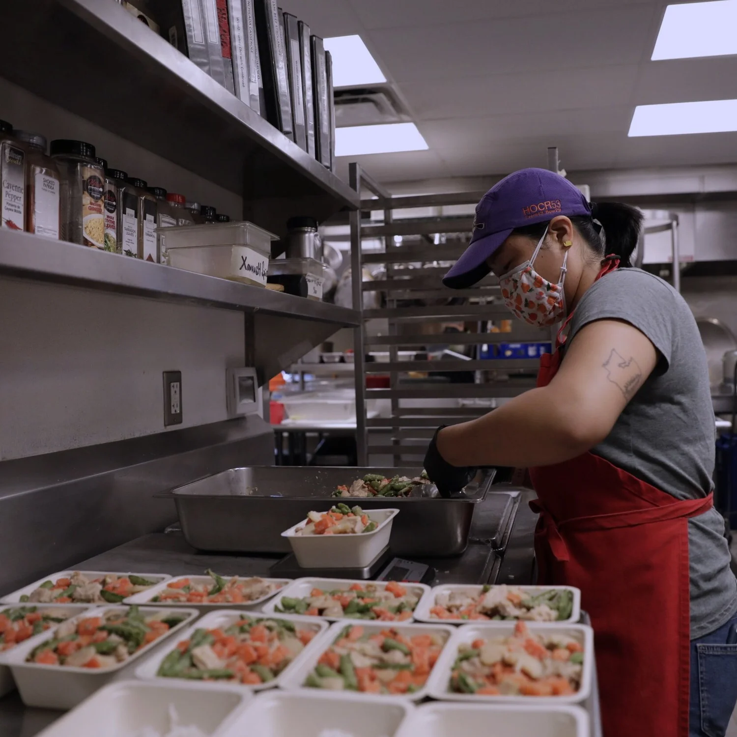 Food & Nutrition — Lifelong