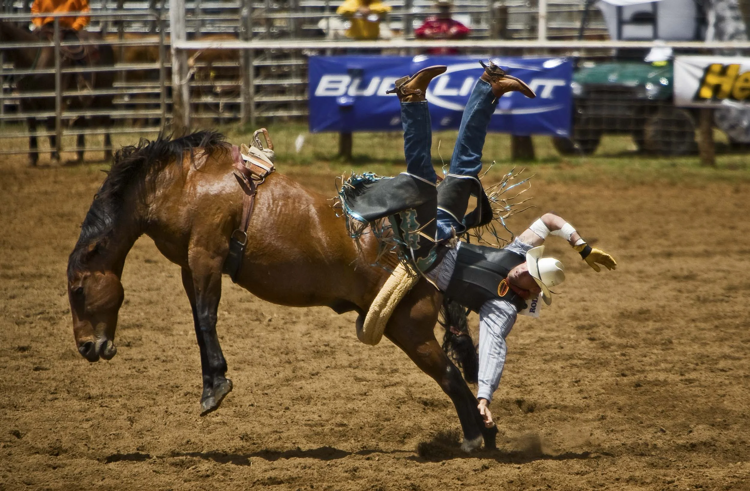 hawaiian cowboys — Nature's True Colors
