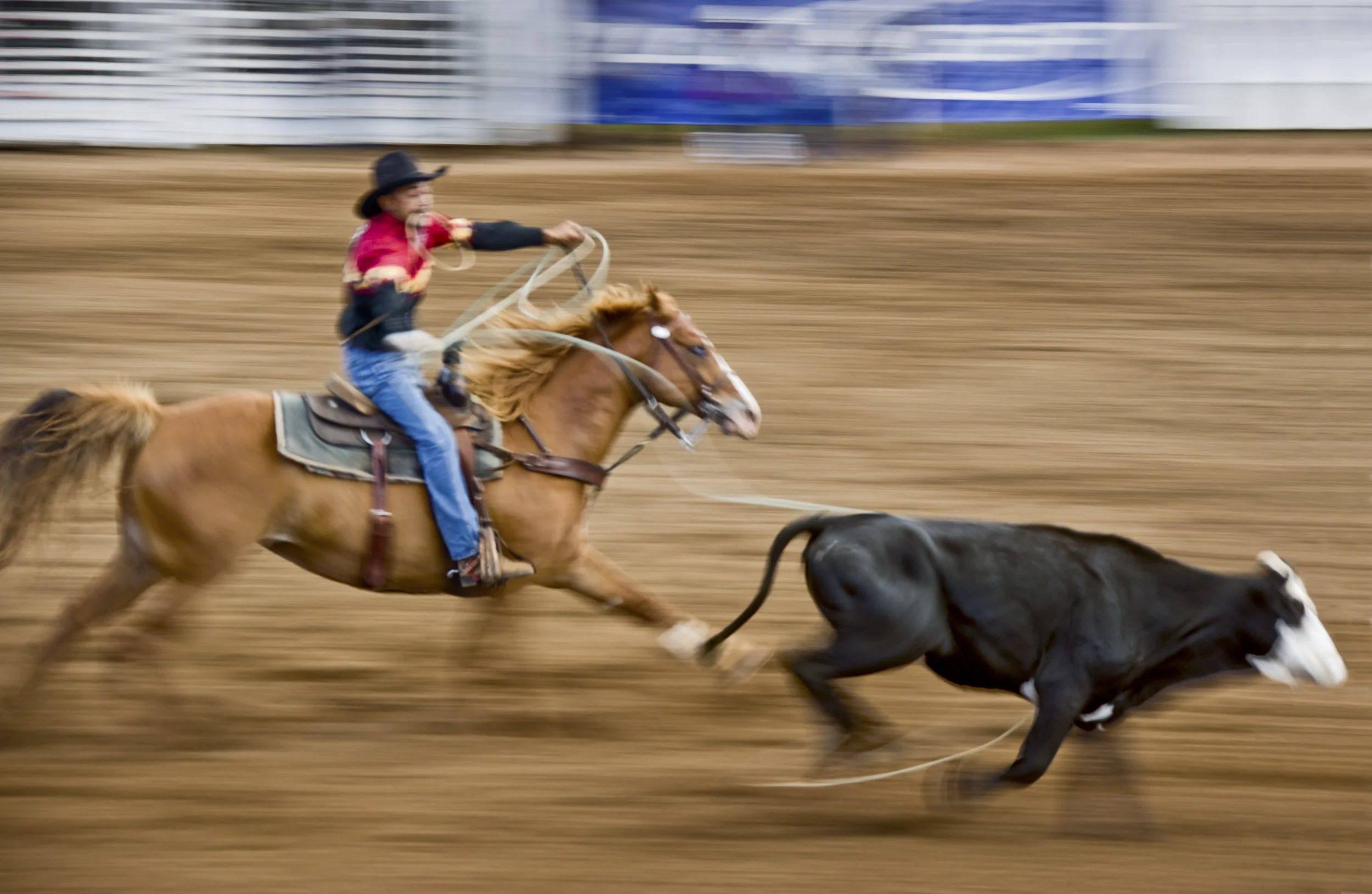 hawaiian cowboys — Nature's True Colors