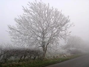 Seasons — Seasons of Change