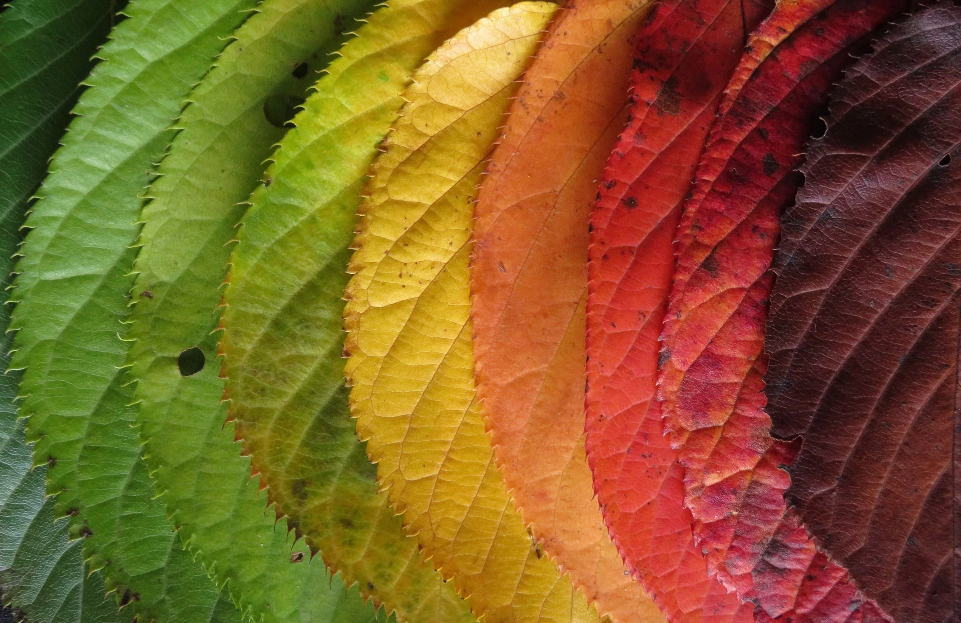 Seasons of Change
