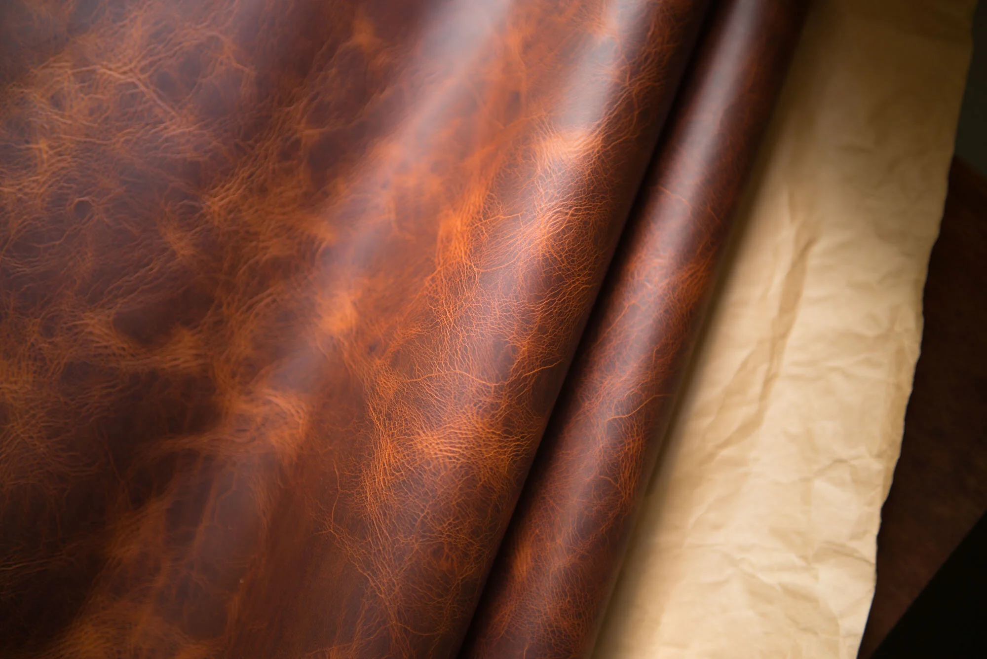 Waxy - Badalassi Carlo