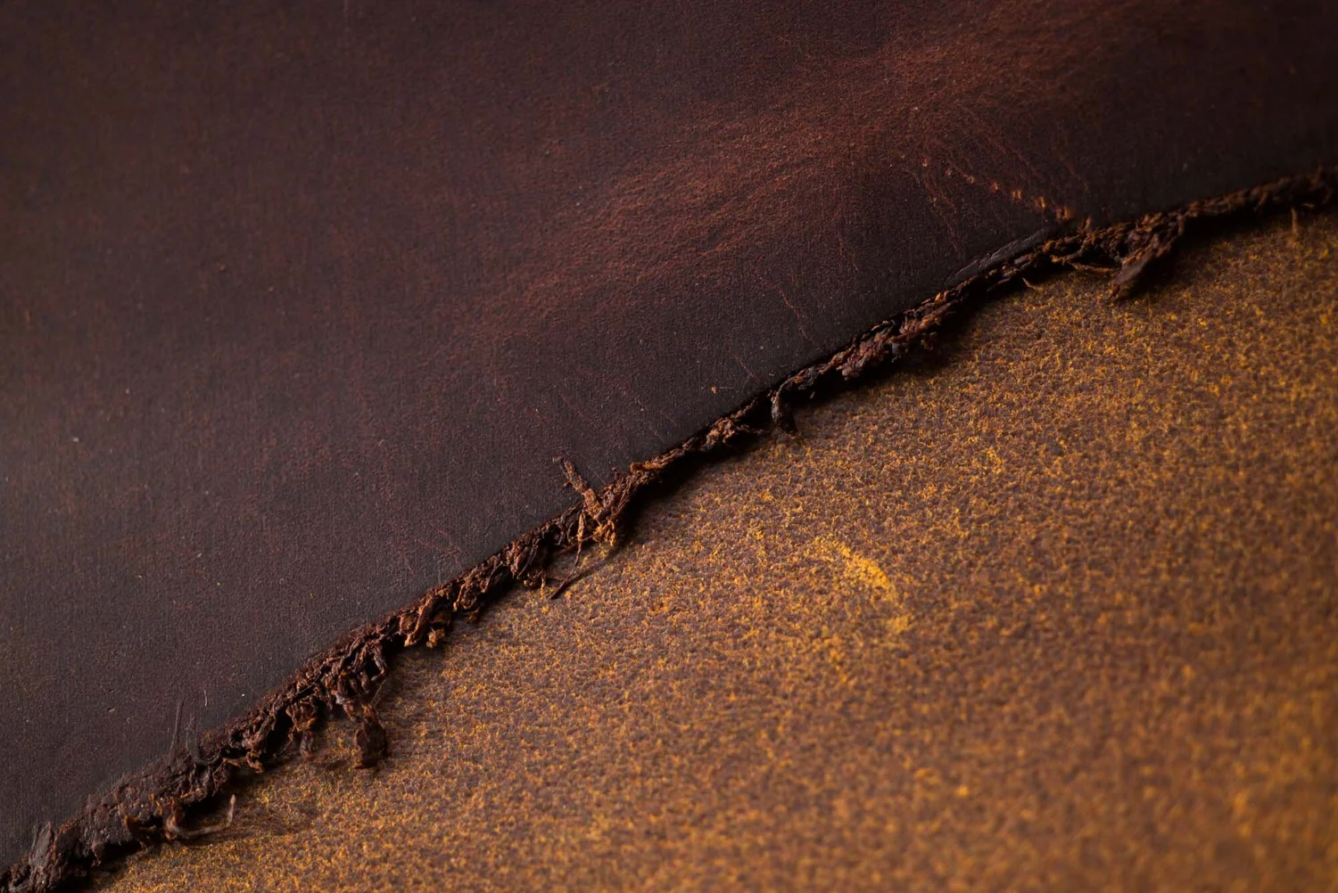 Oilskin