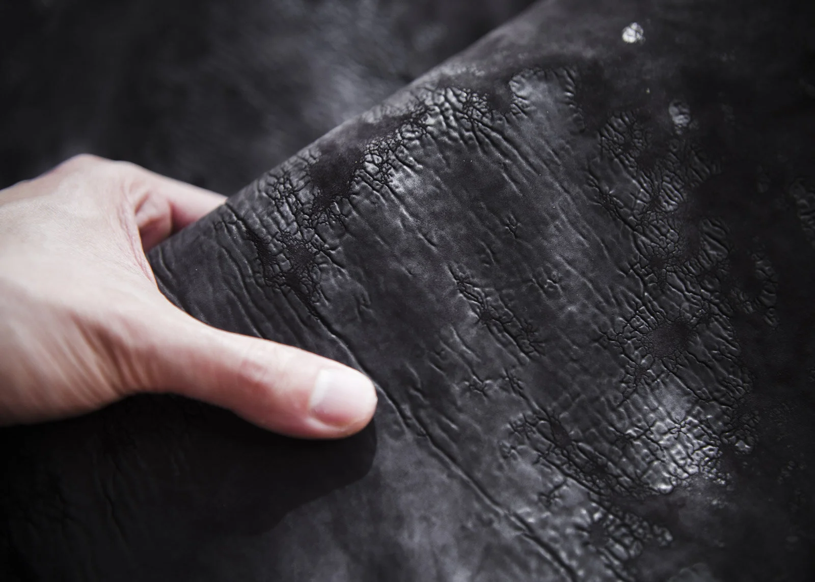 Horse Culatta - Cloe S.R.L