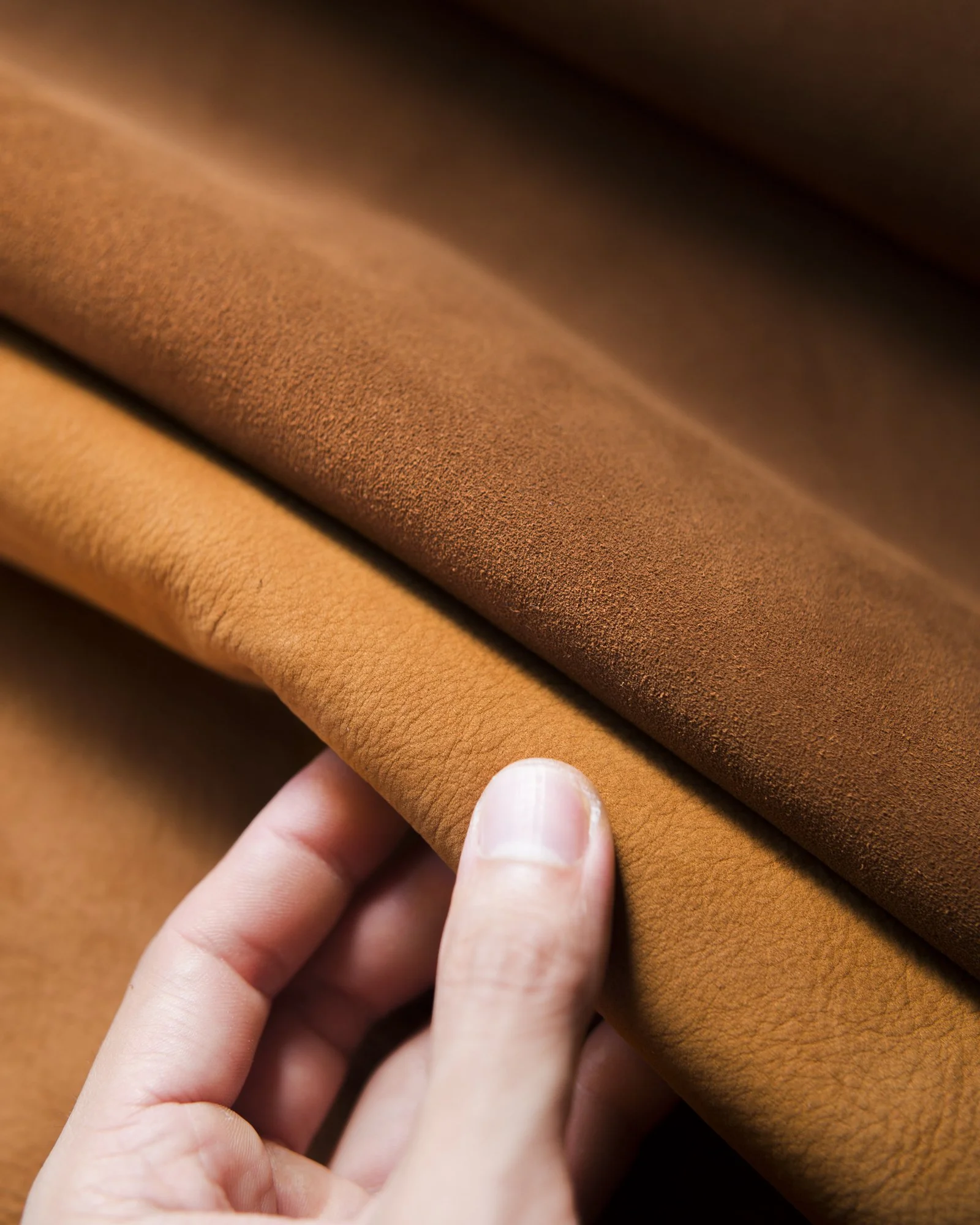 Forever Suede - Conceria Zabri (Italy)