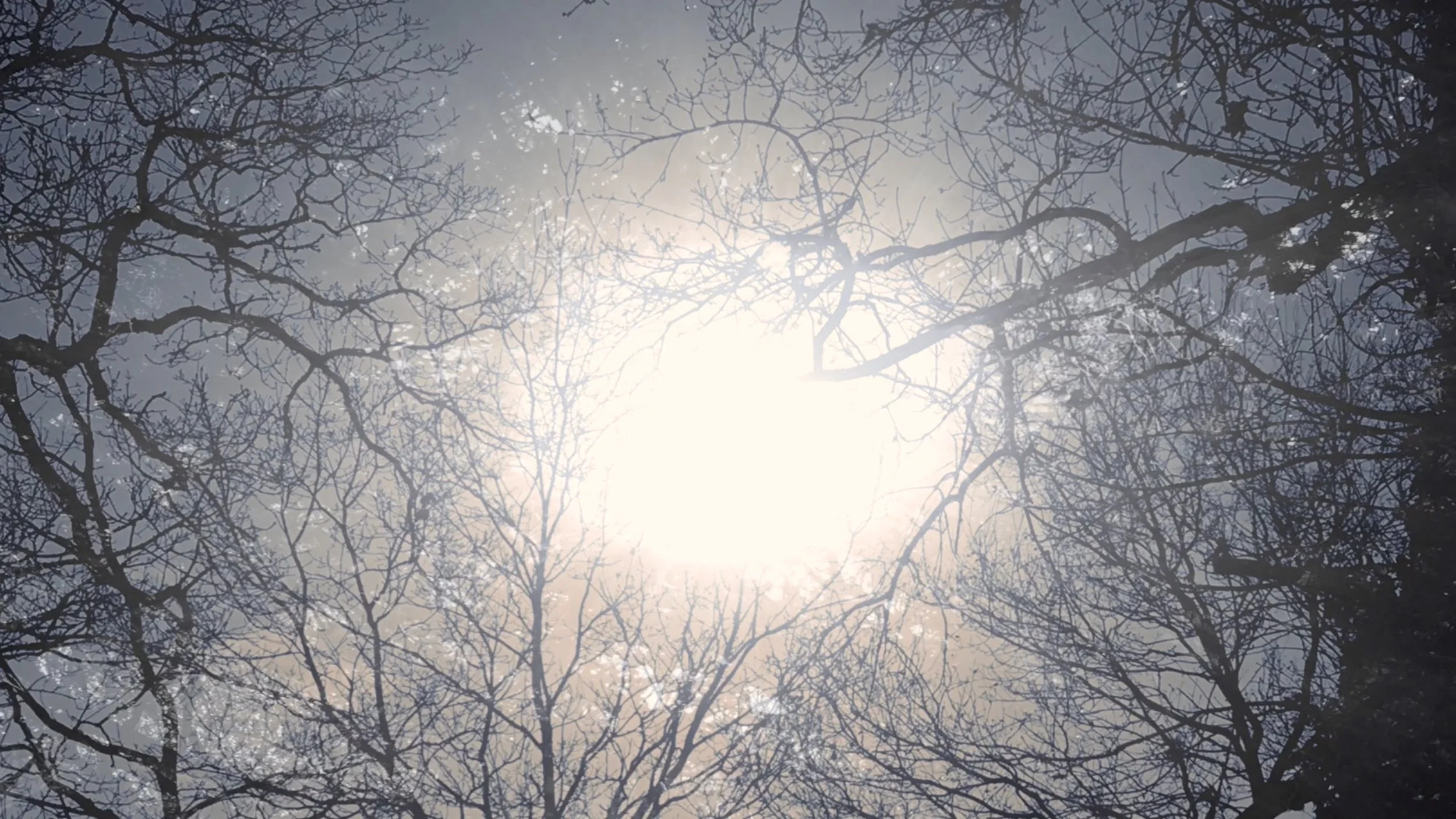 GALLERY — Amanda Stuart