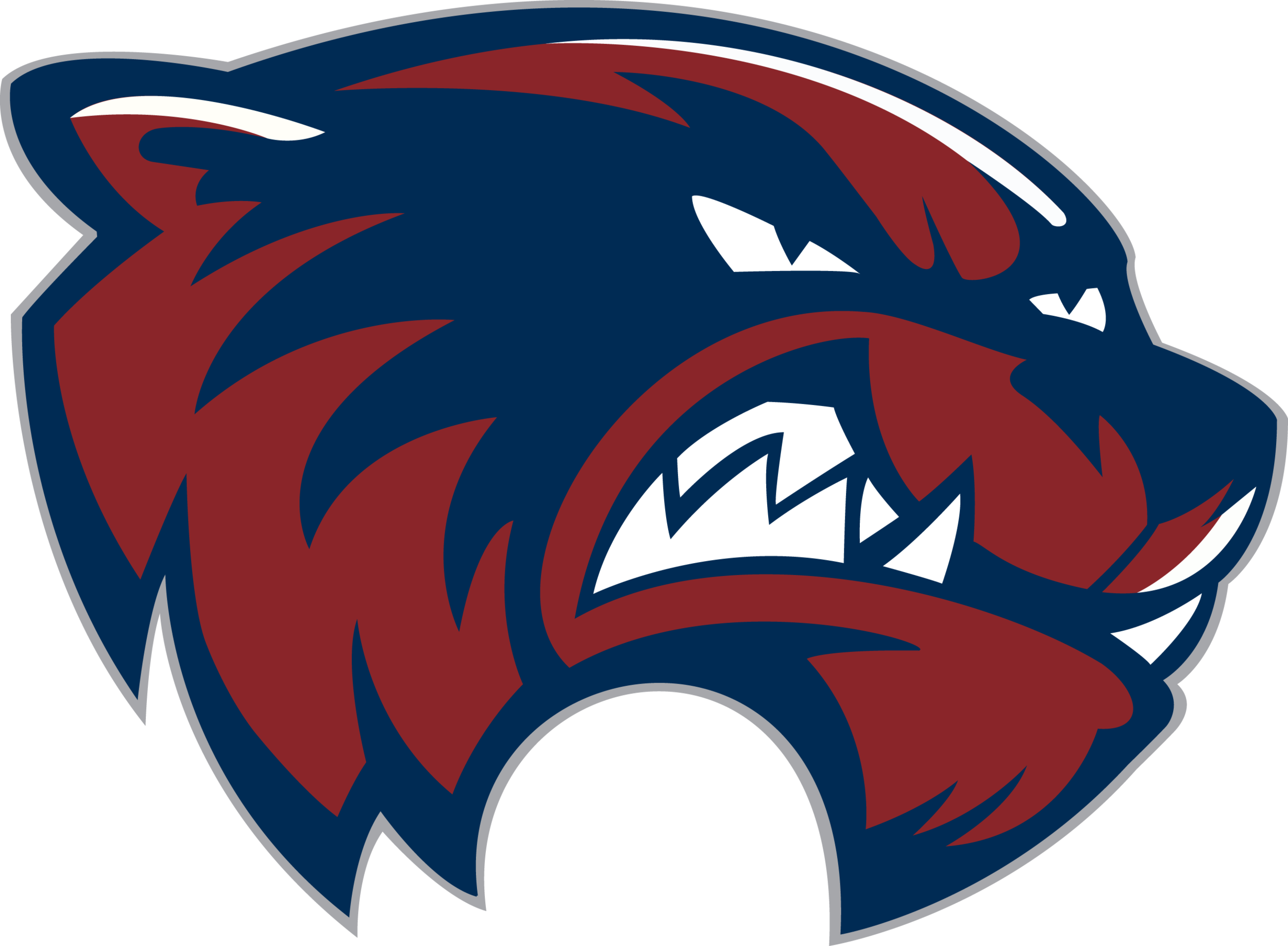 Southwestern University Pirates Logo Clipart
