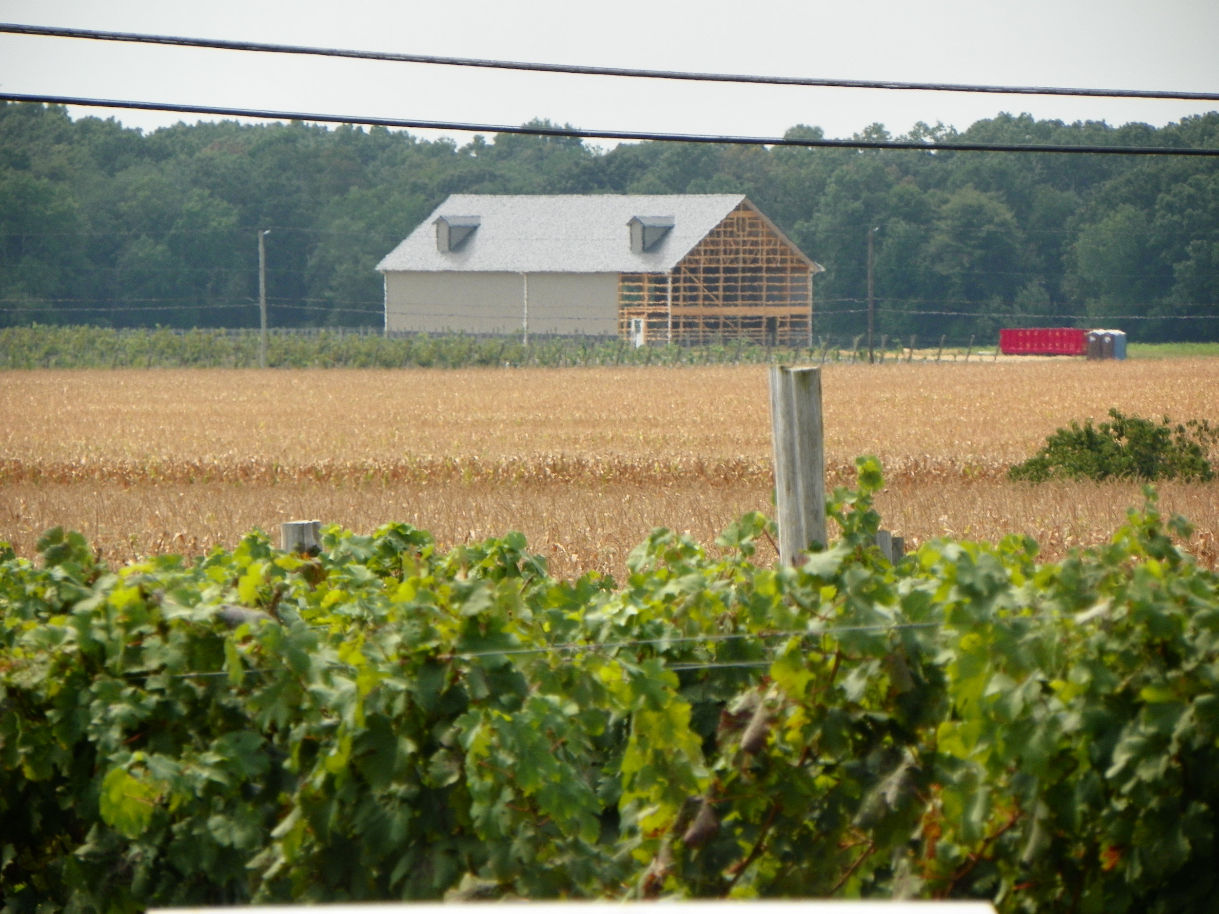 Cedar Rose Vineyards - Media Gallery