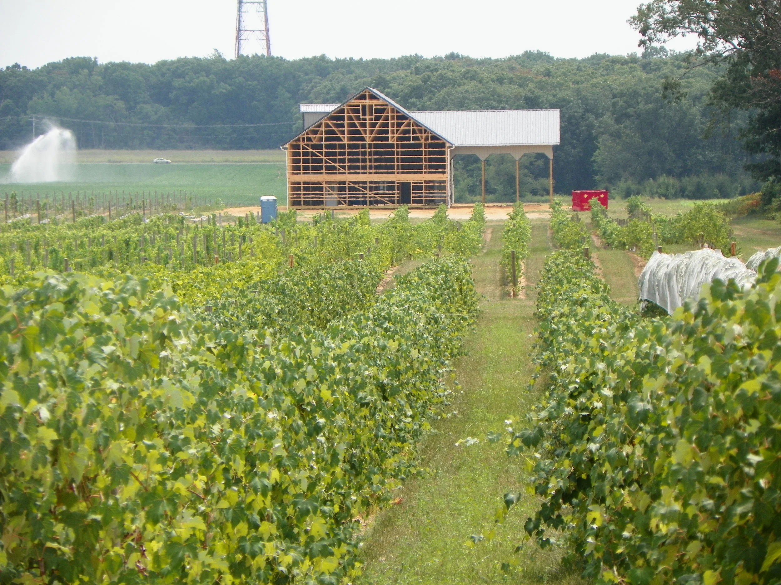 Cedar Rose Vineyards - Media Gallery