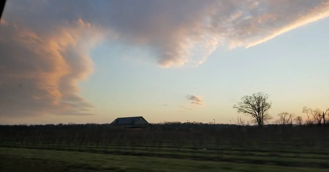 Cedar Rose Vineyards