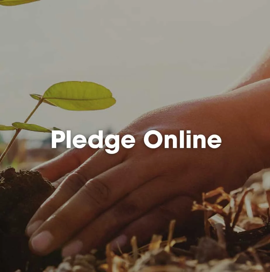 Immanuel Congregational Church - Hartford