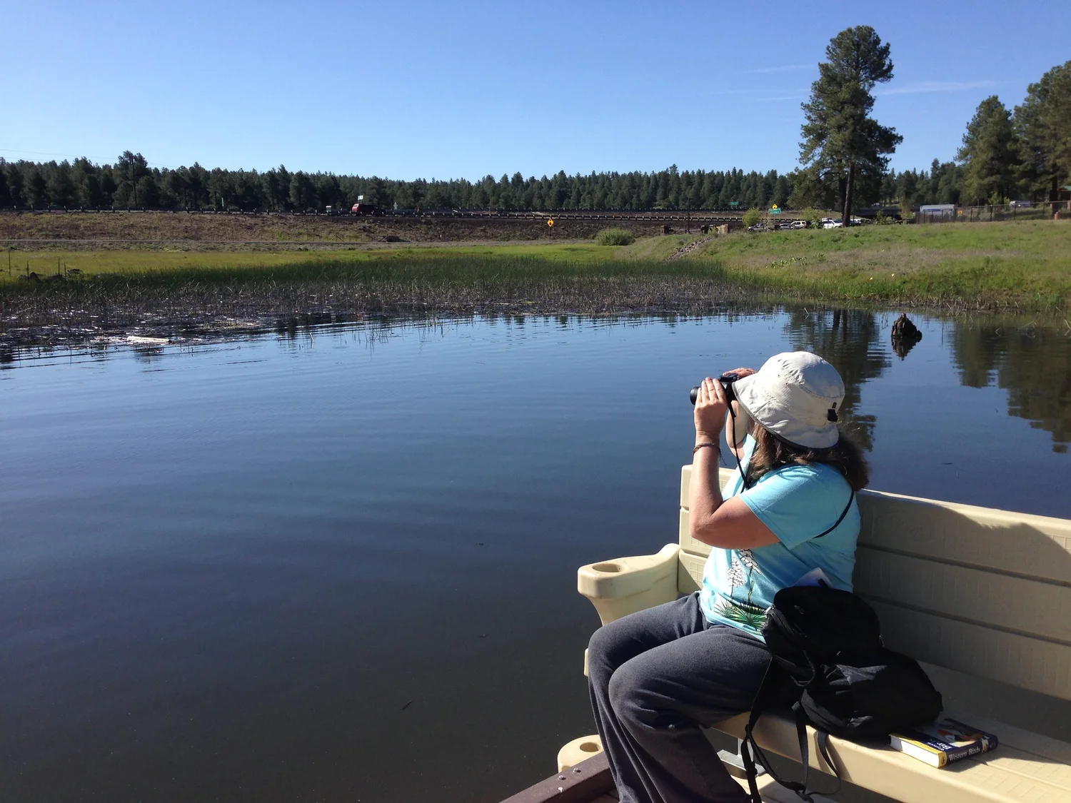 Arizona Watchable Wildlife Experience