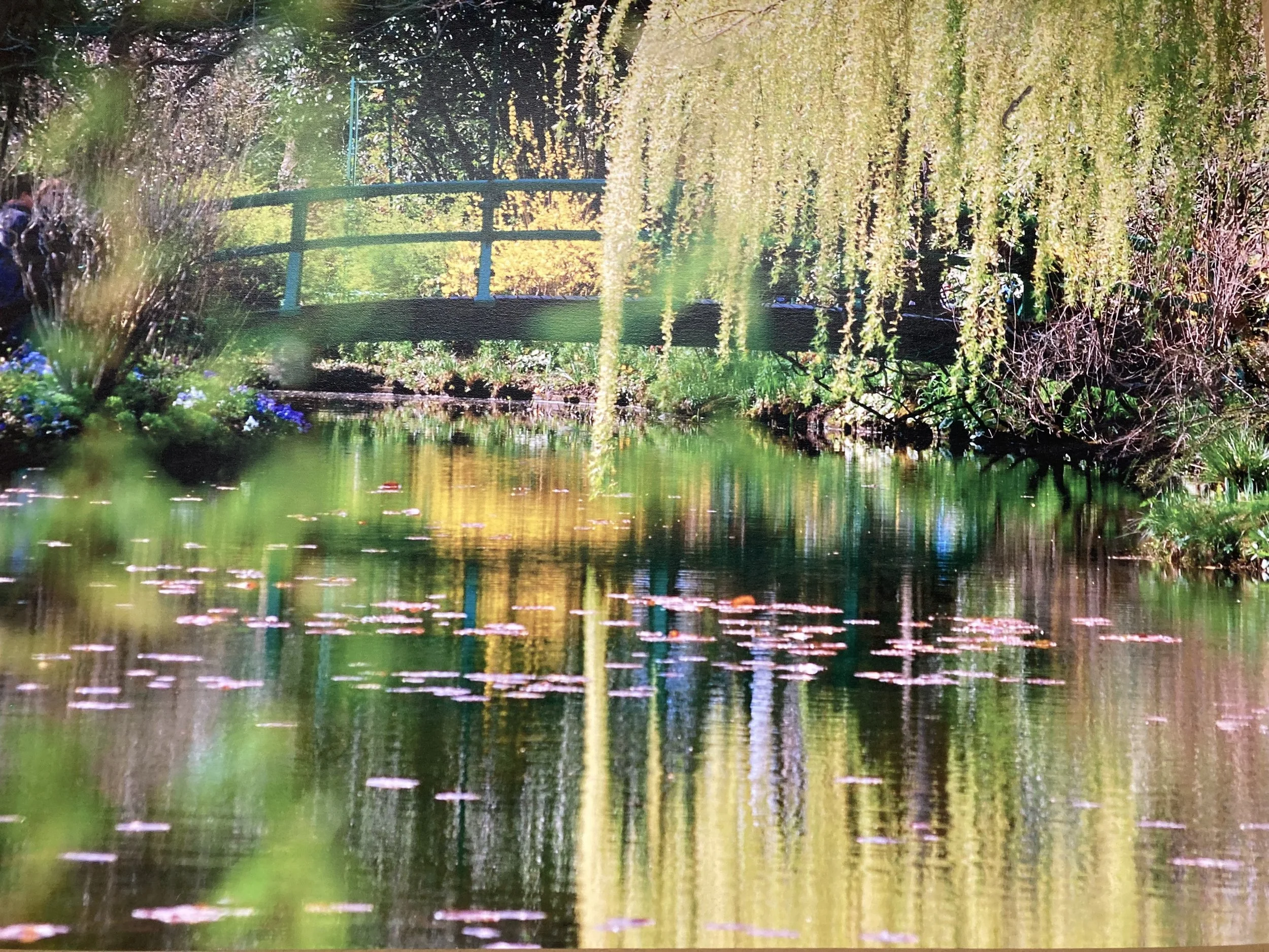 ACE Gallery — Studio ACE