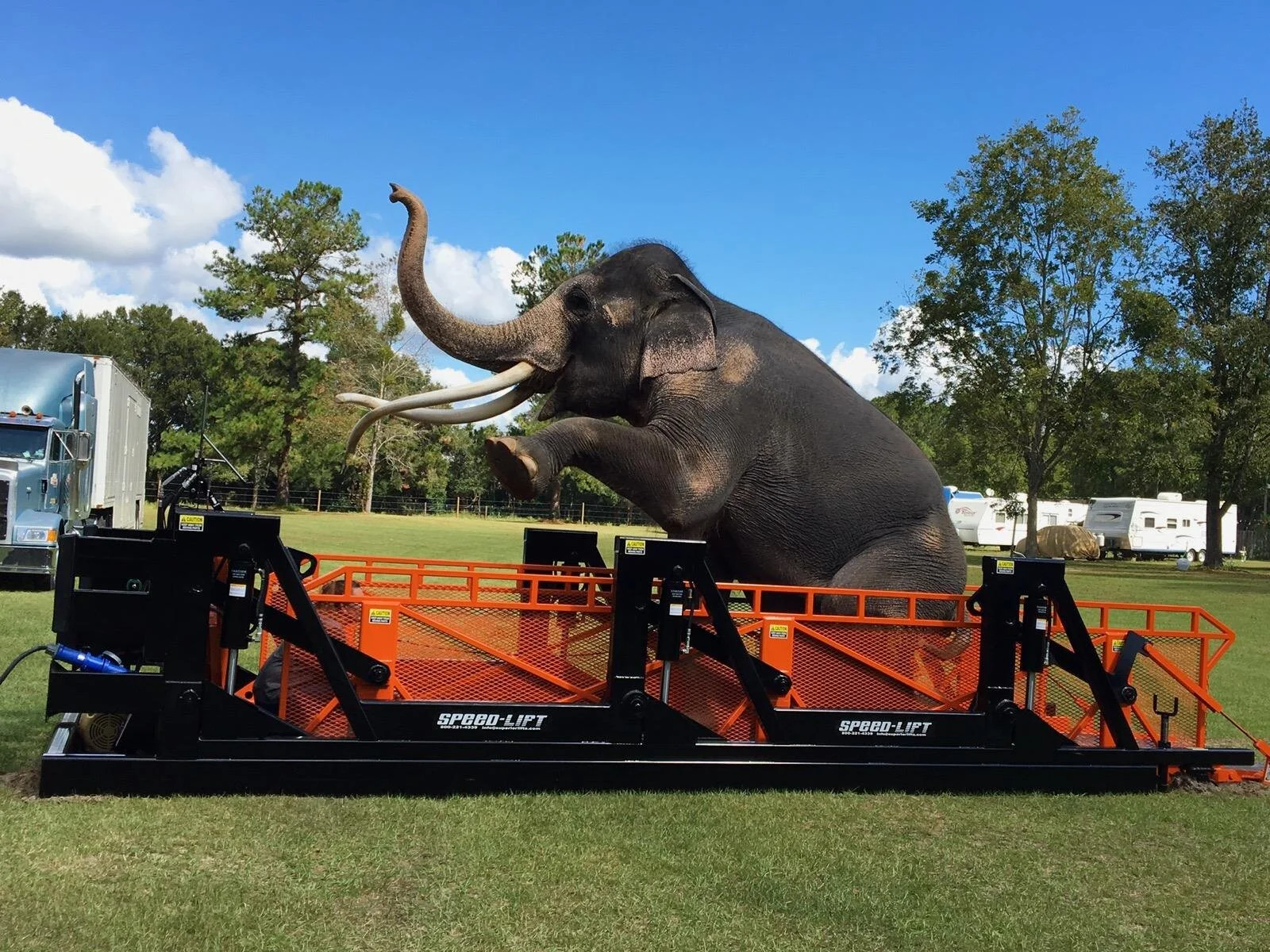 Loading Dock Lift: Cantilever, Hydraulic, Platform: Superior Handling