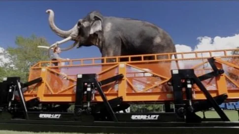 Loading Dock Lifts | Platform Lifts | Mobile Lifts | Superior Handling