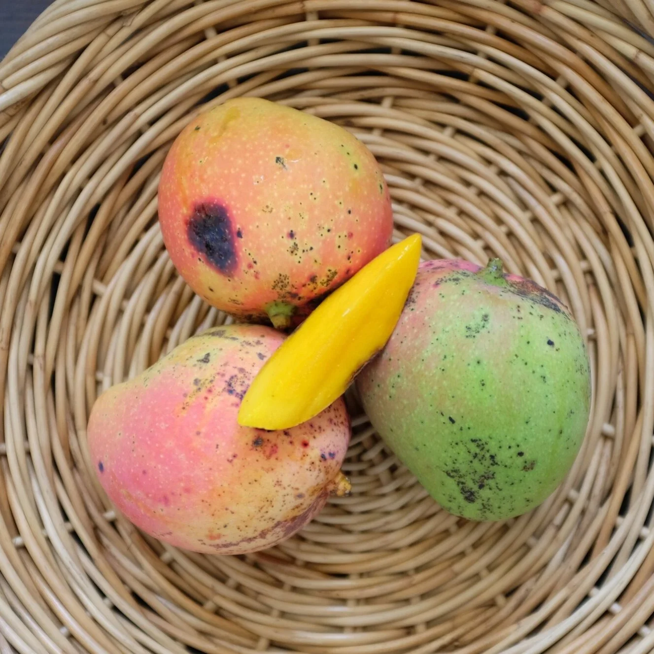 Shop — The Mango Place