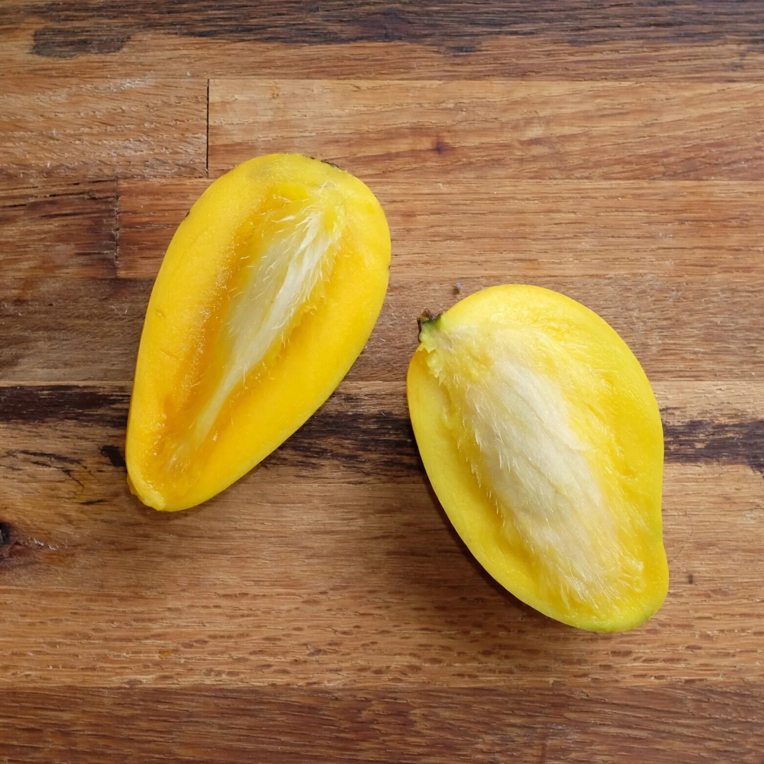 Shop — The Mango Place