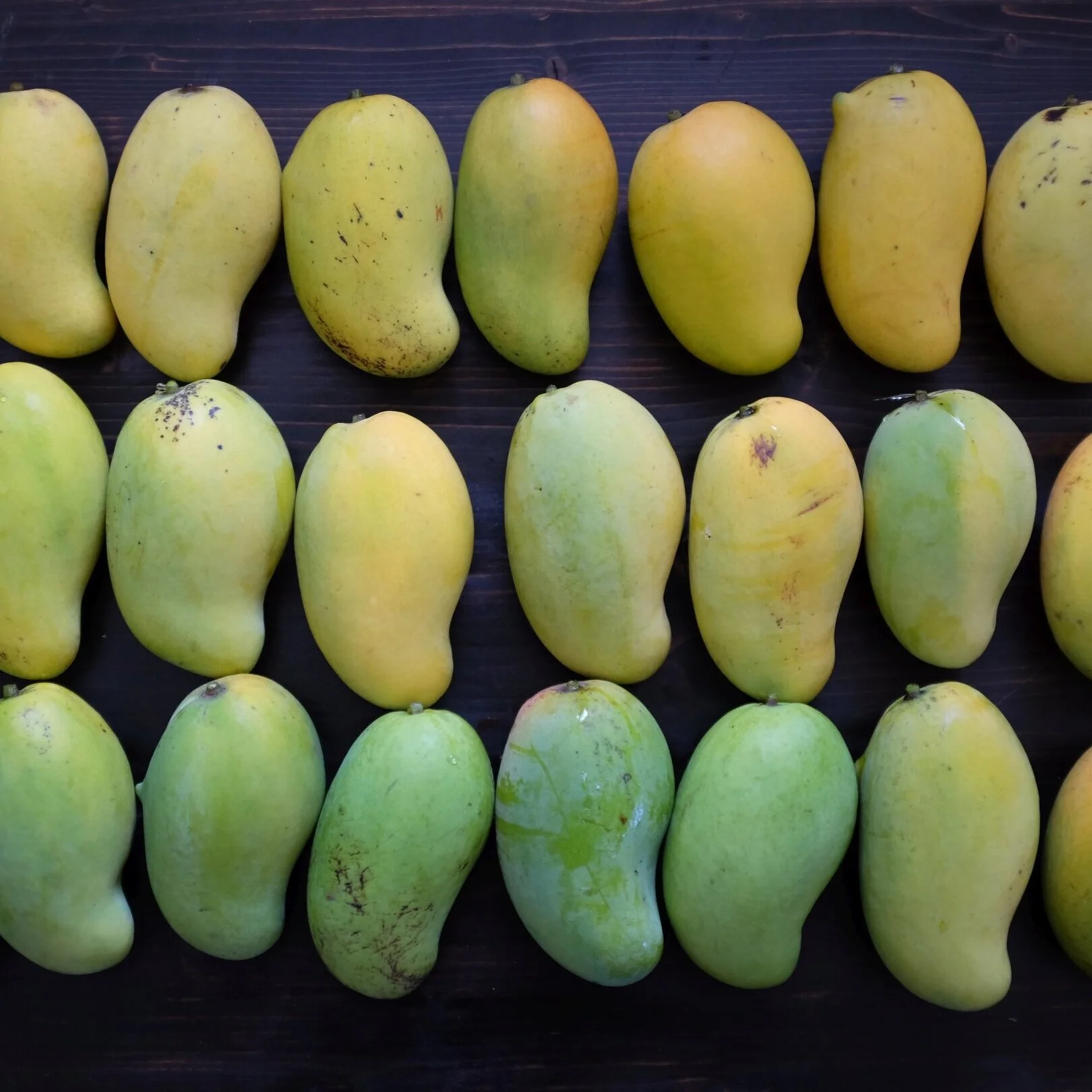 Shop — The Mango Place