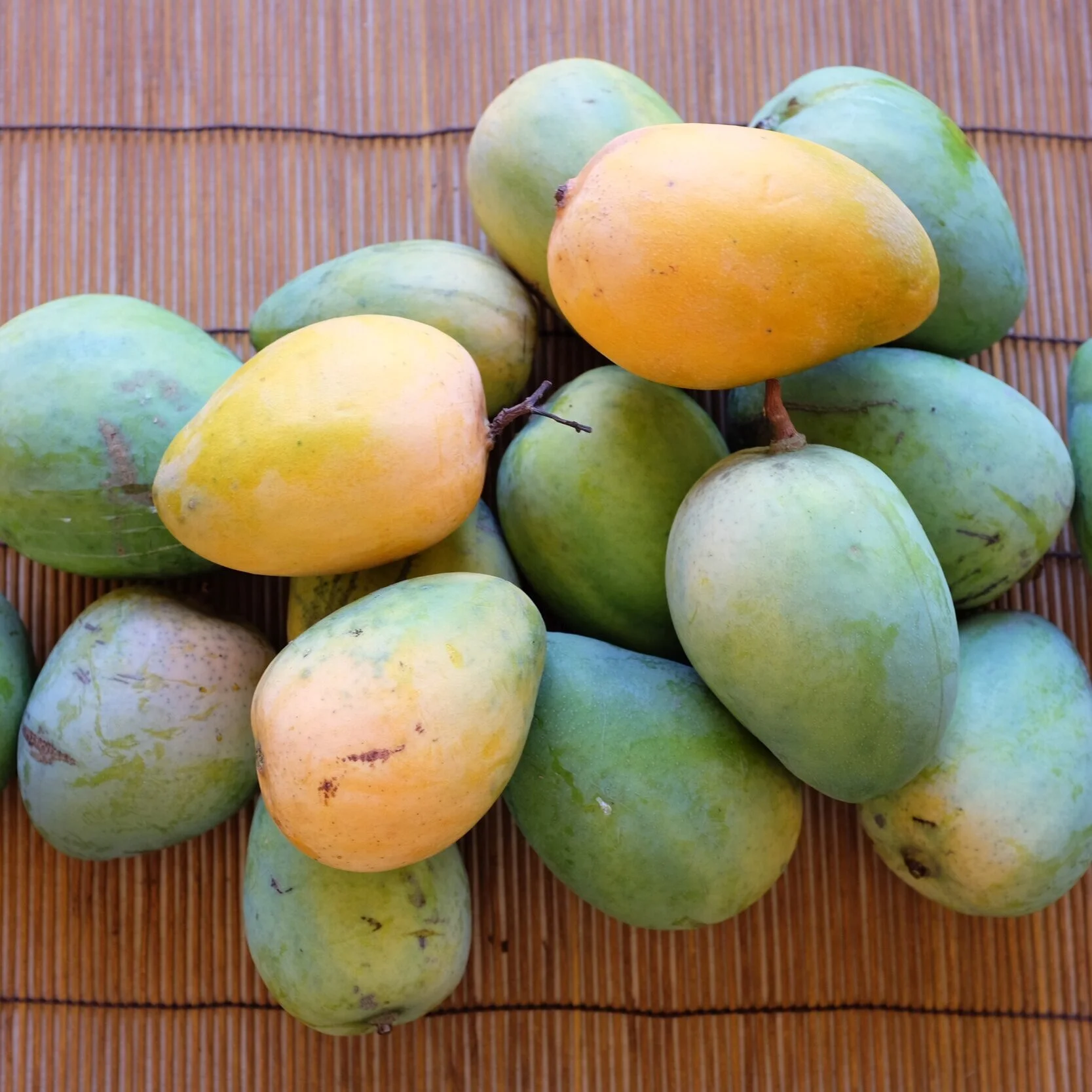 Shop — The Mango Place