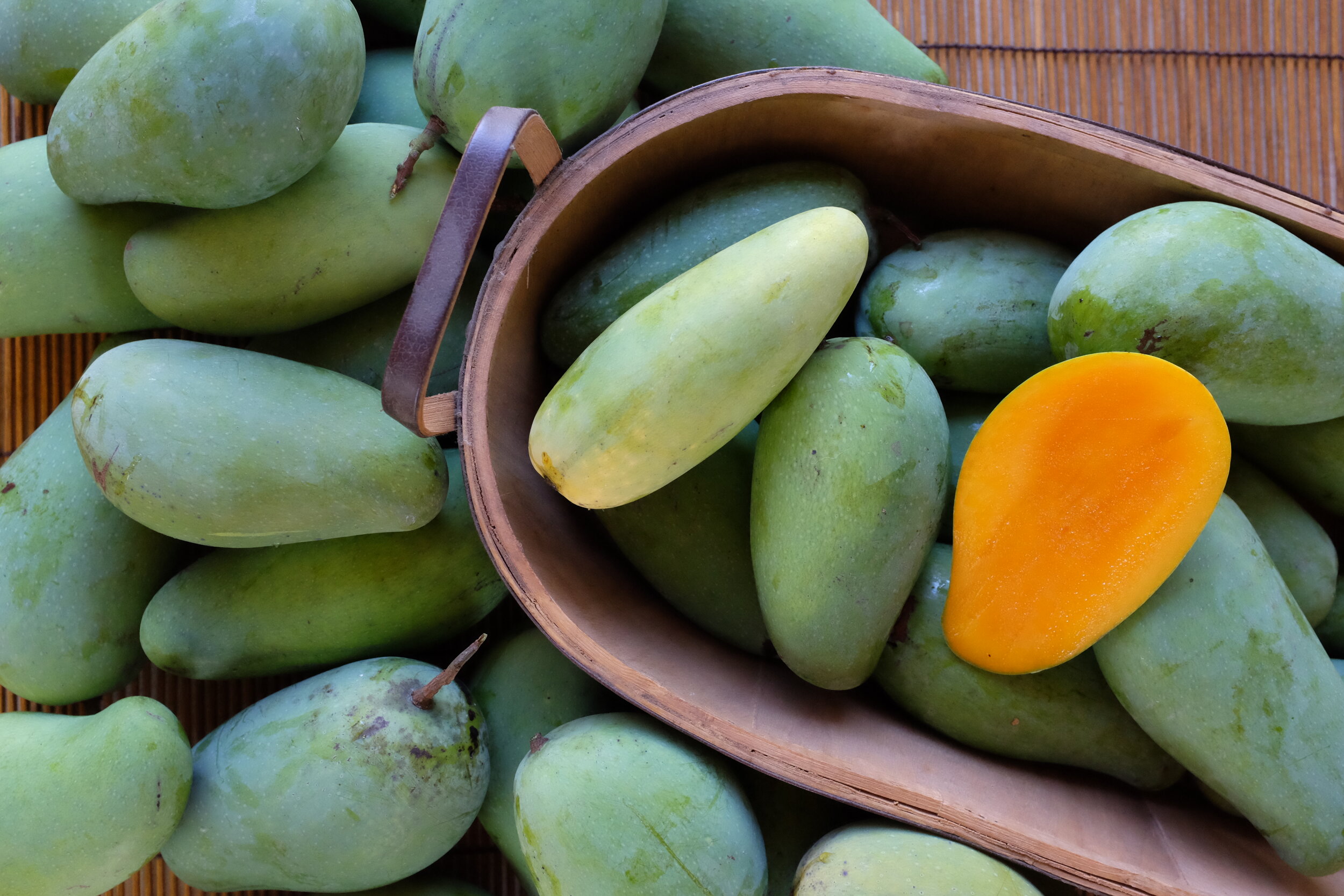 Shop — The Mango Place