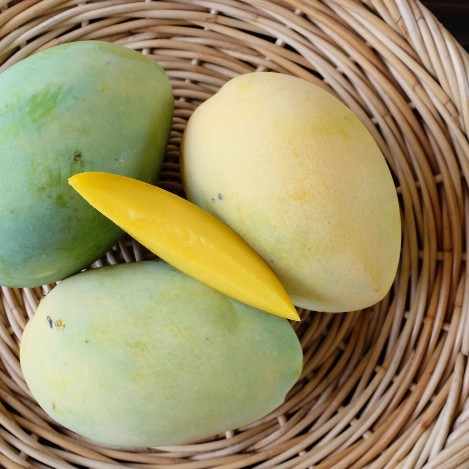 Shop — The Mango Place