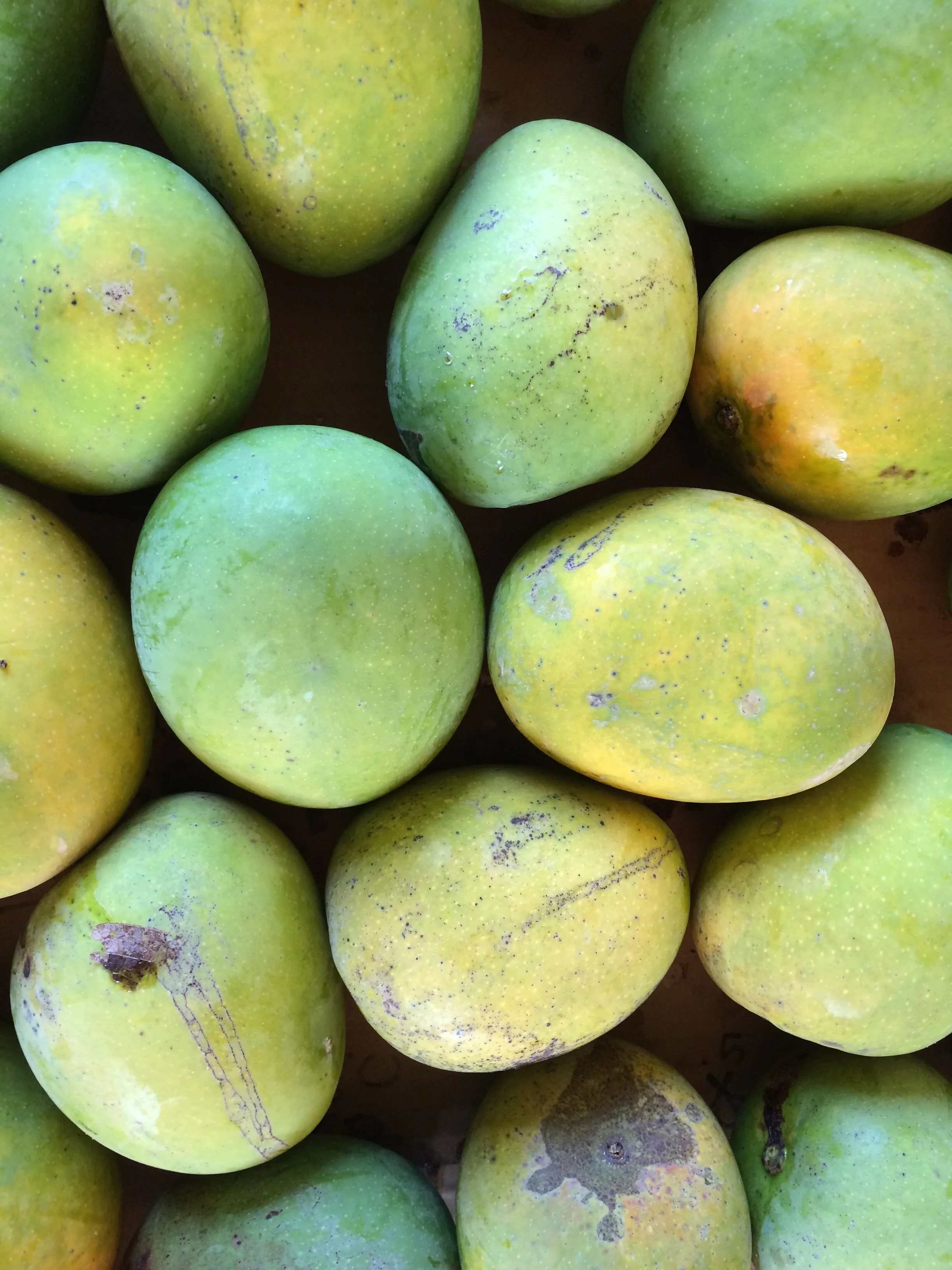 Shop — The Mango Place