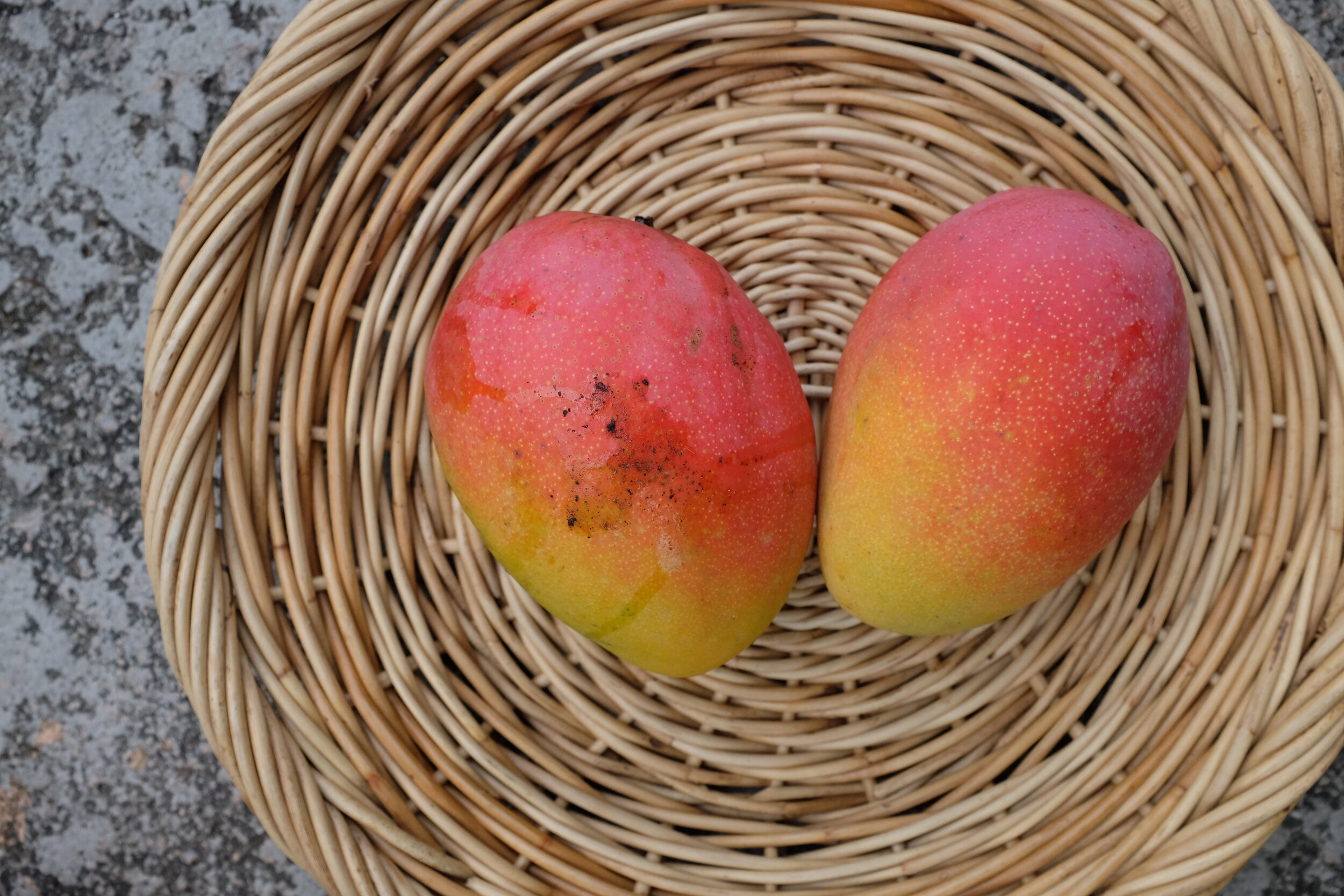 Shop — The Mango Place