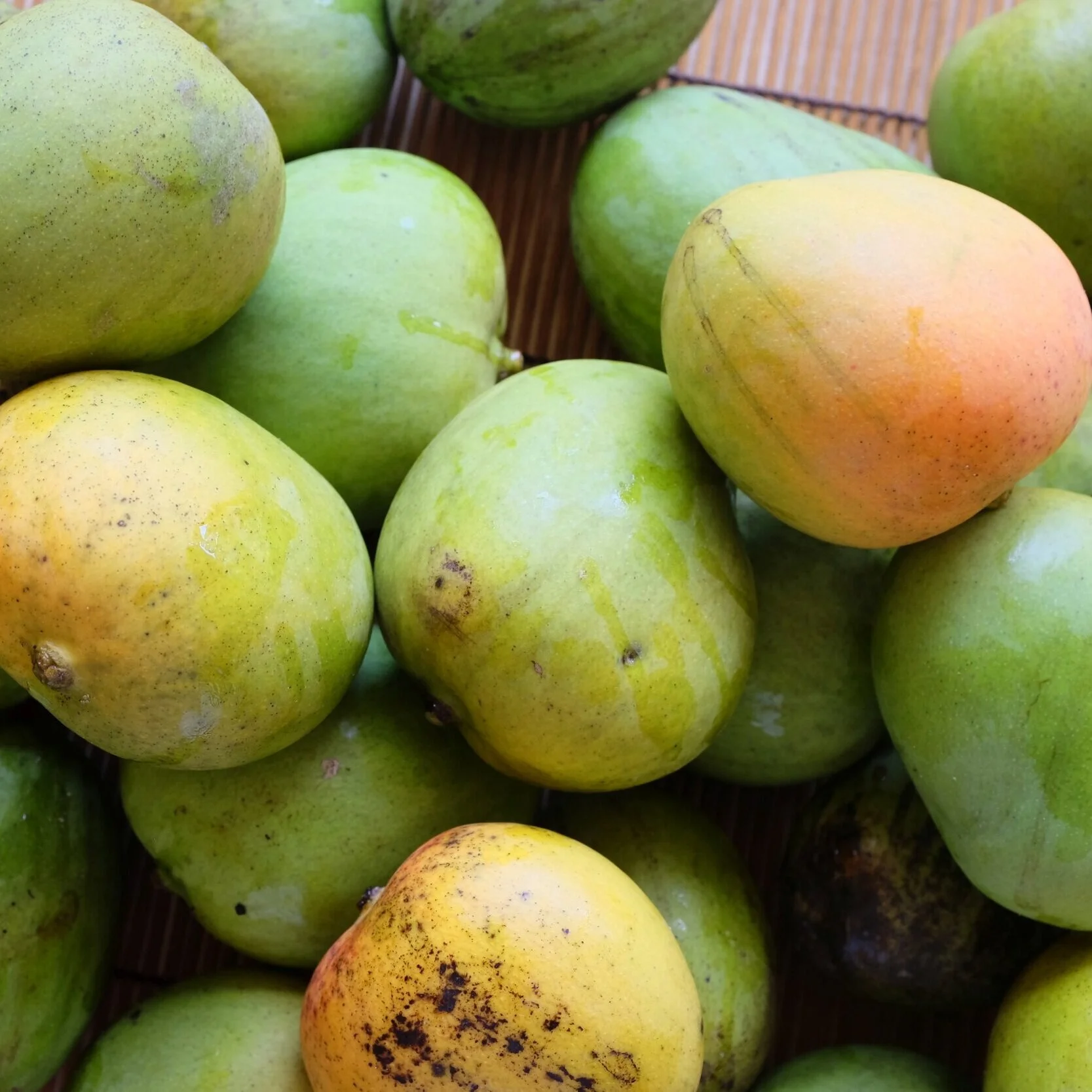 Shop — The Mango Place