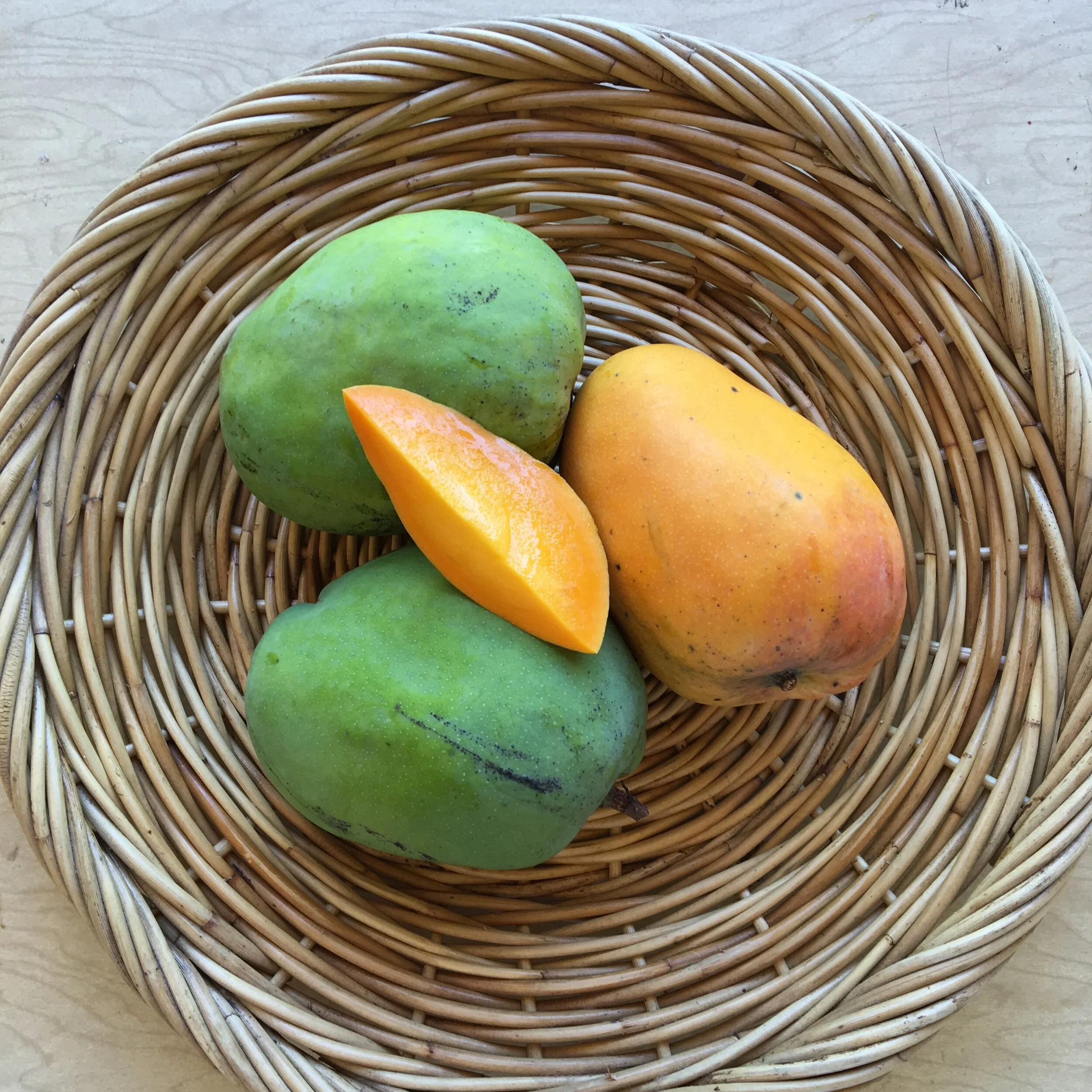 Shop — The Mango Place