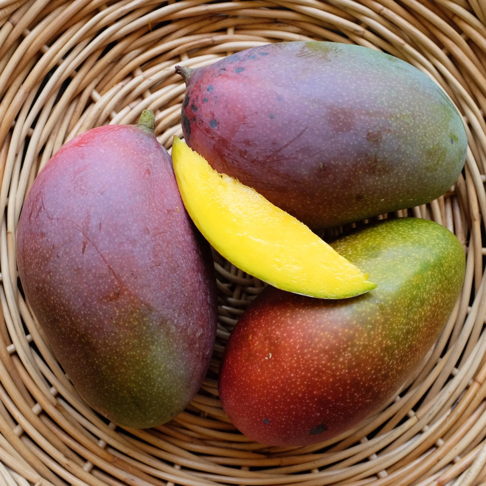 Shop — The Mango Place