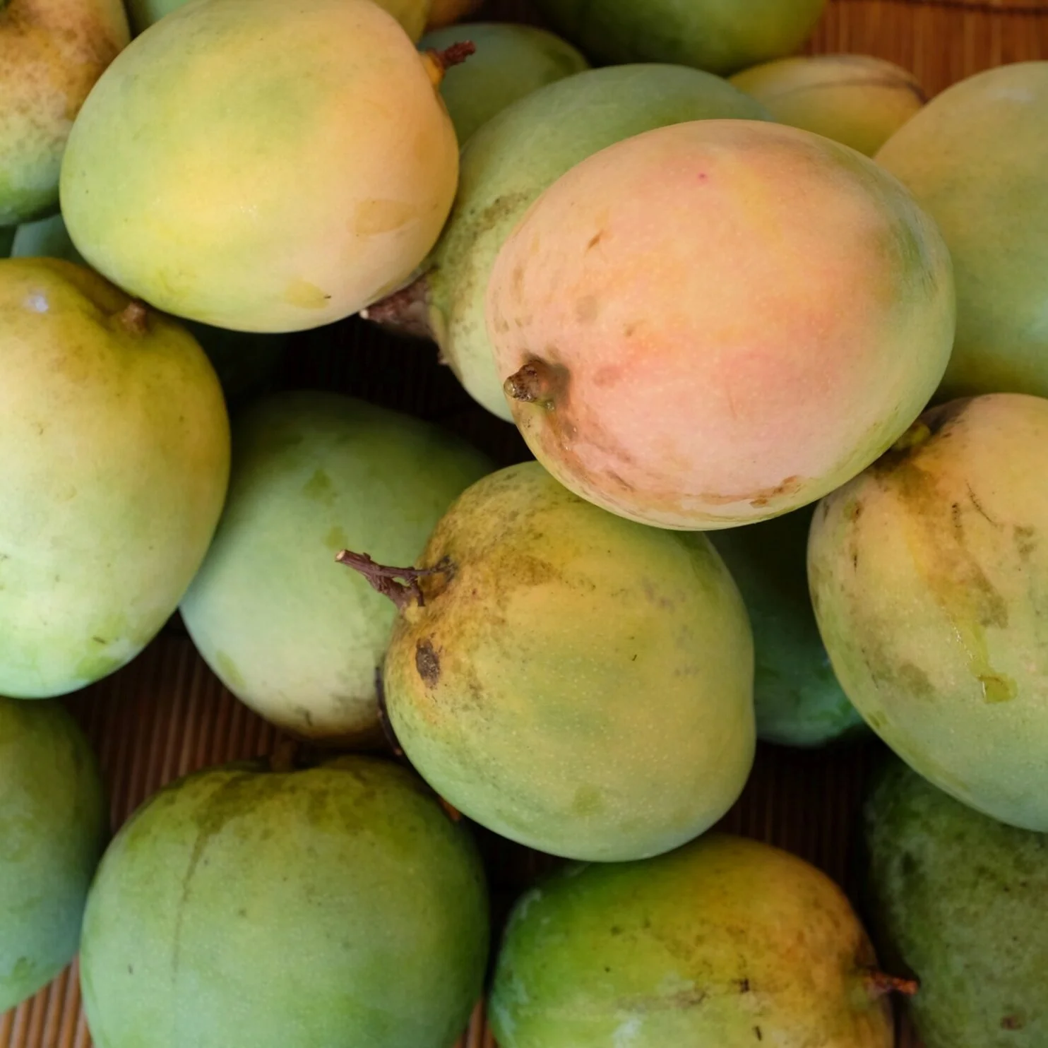 Shop — The Mango Place